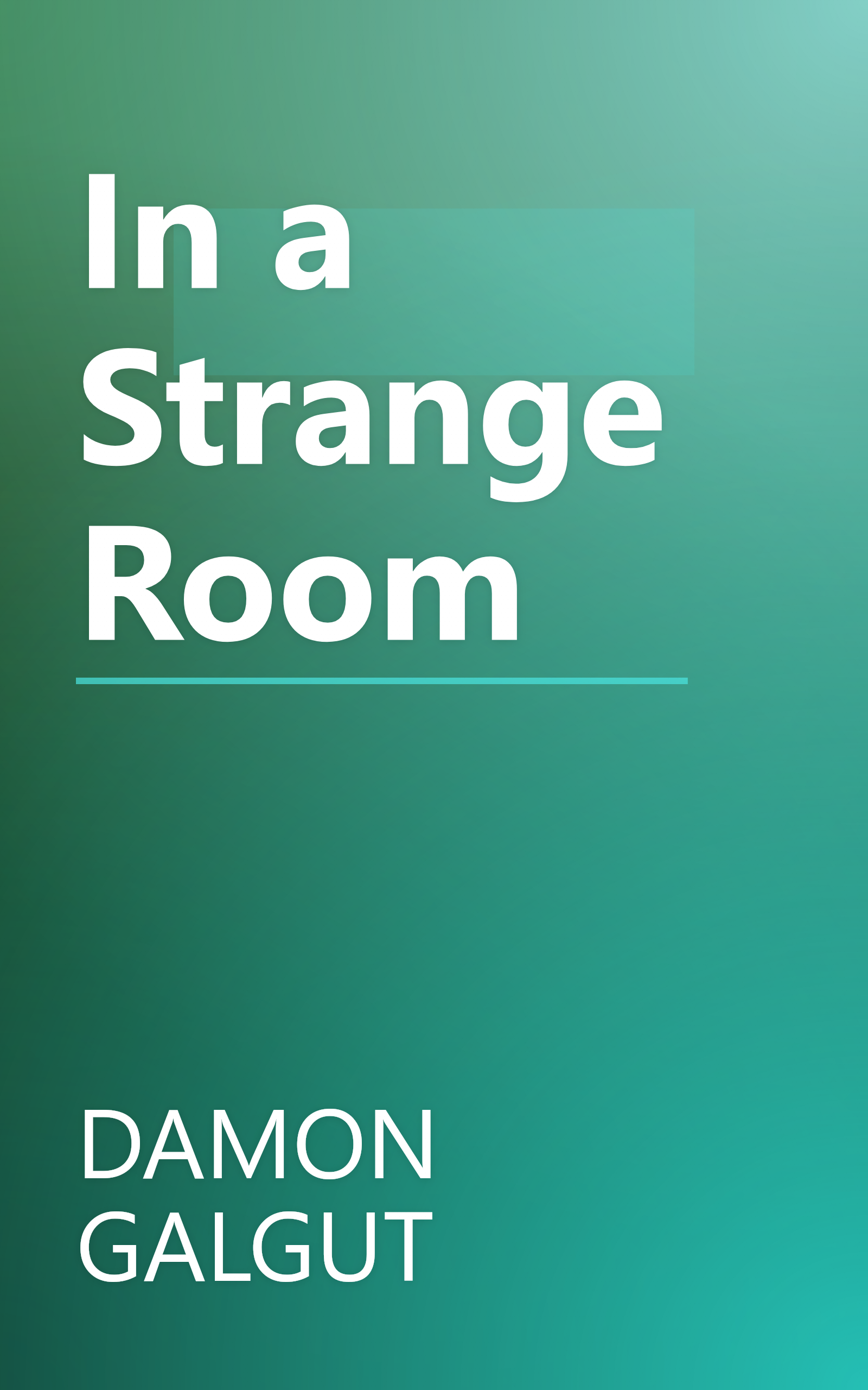 In a Strange Room book cover