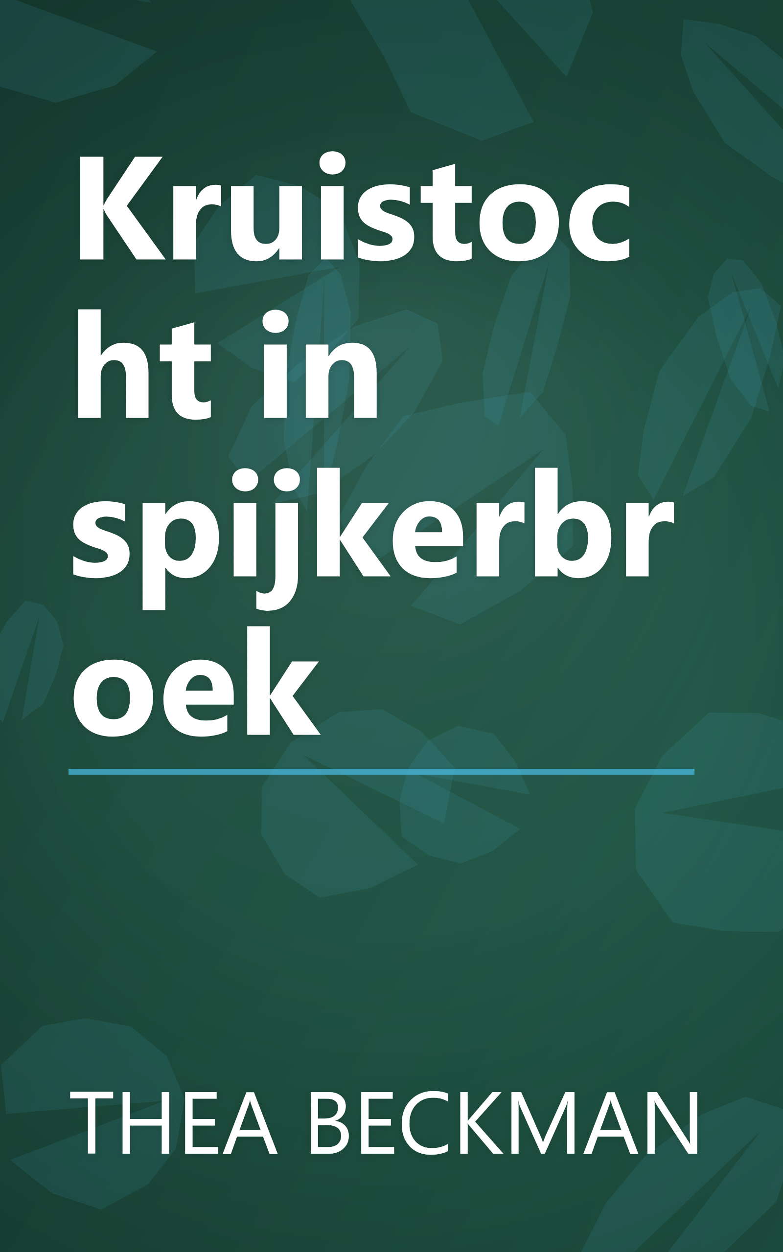 Kruistocht in spijkerbroek book cover