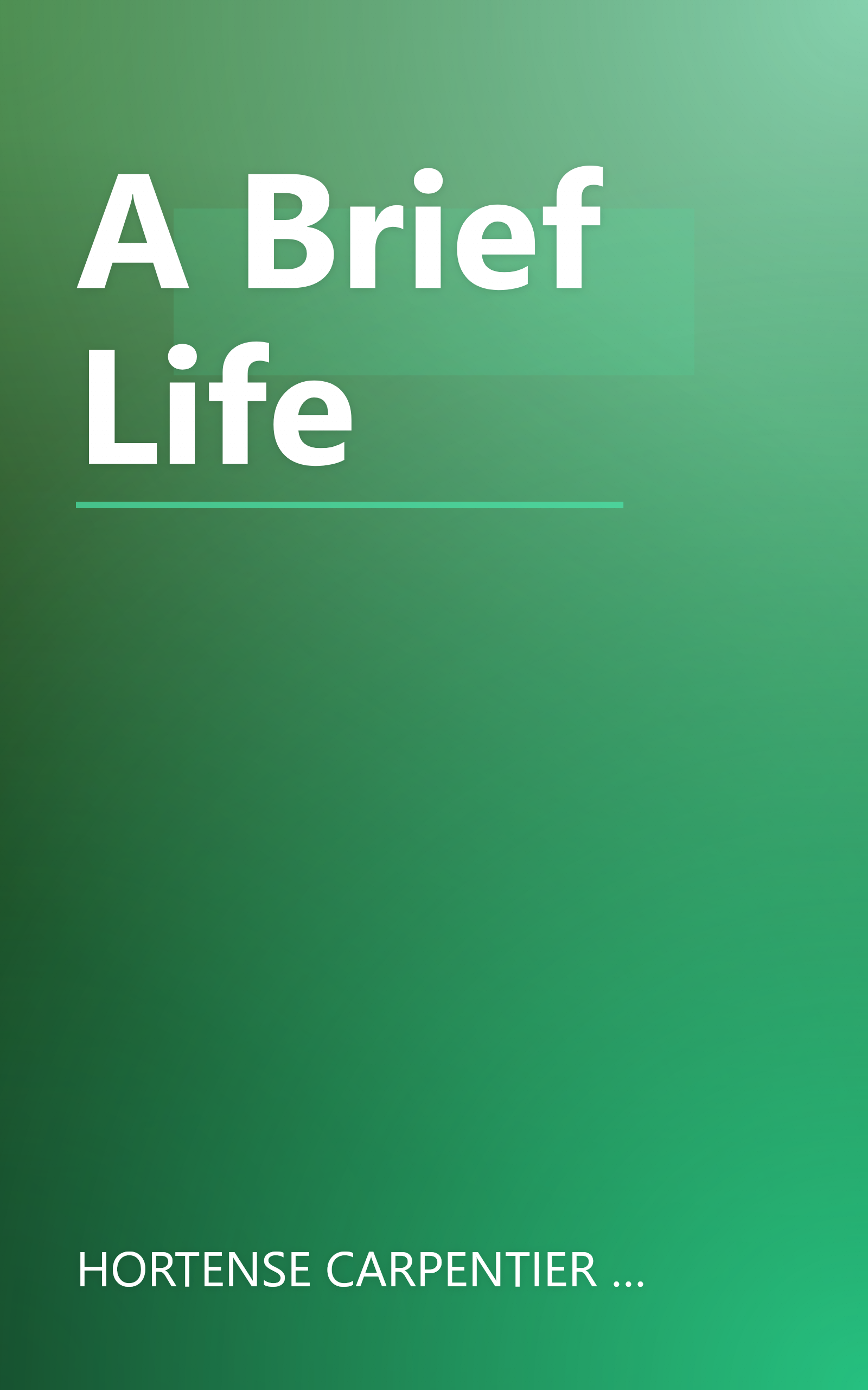A Brief Life book cover