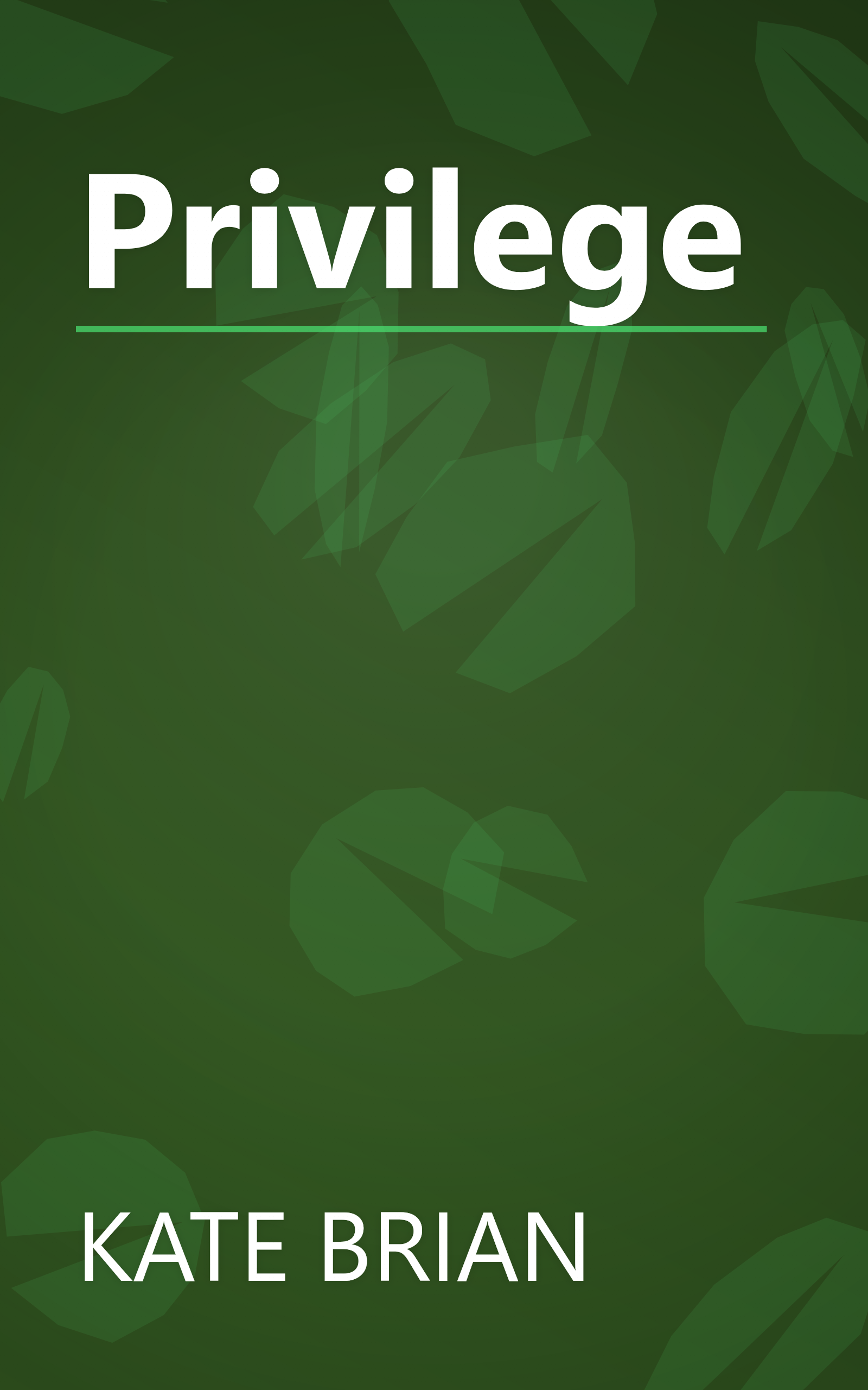 Privilege book cover