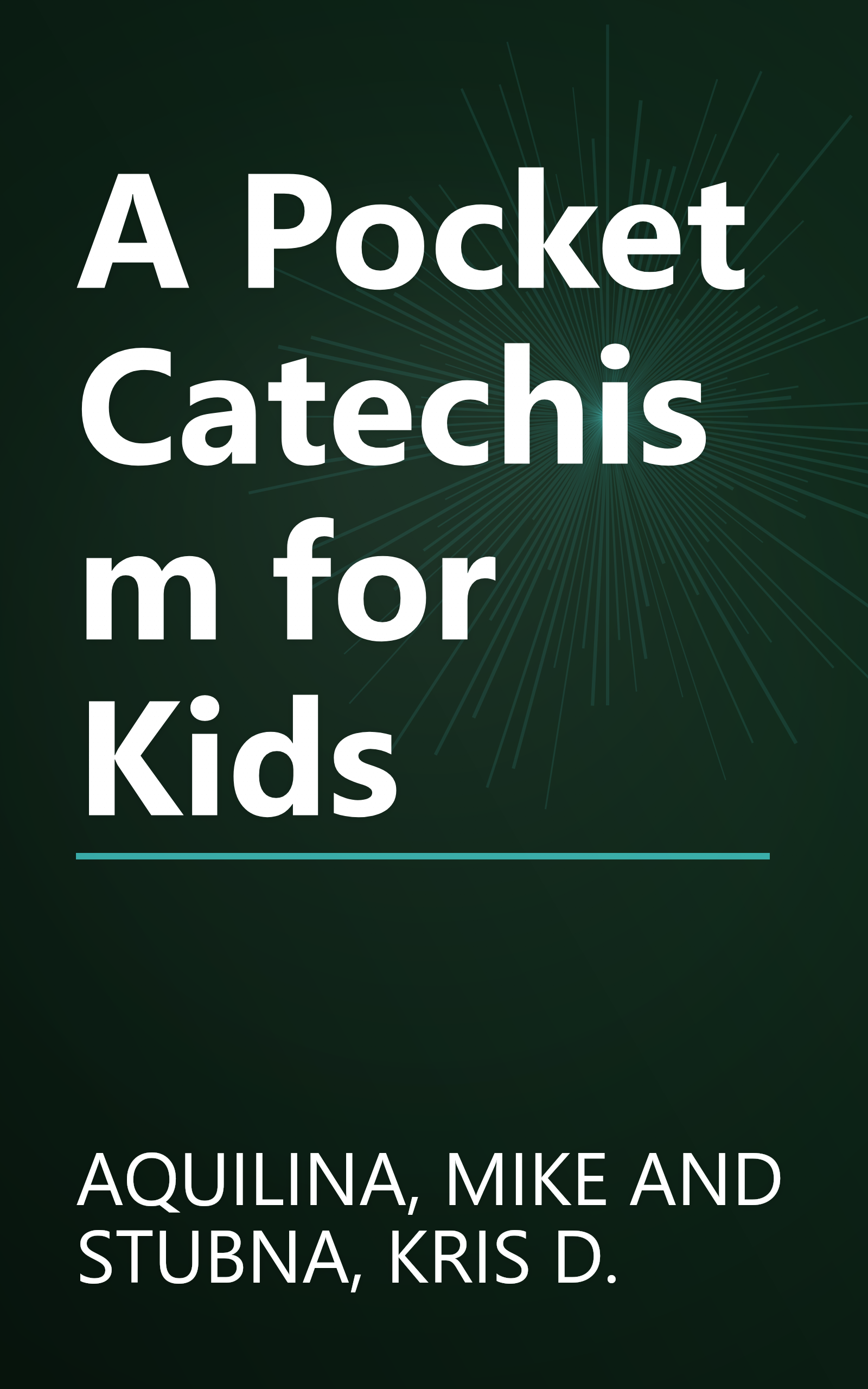 A Pocket Catechism for Kids book cover