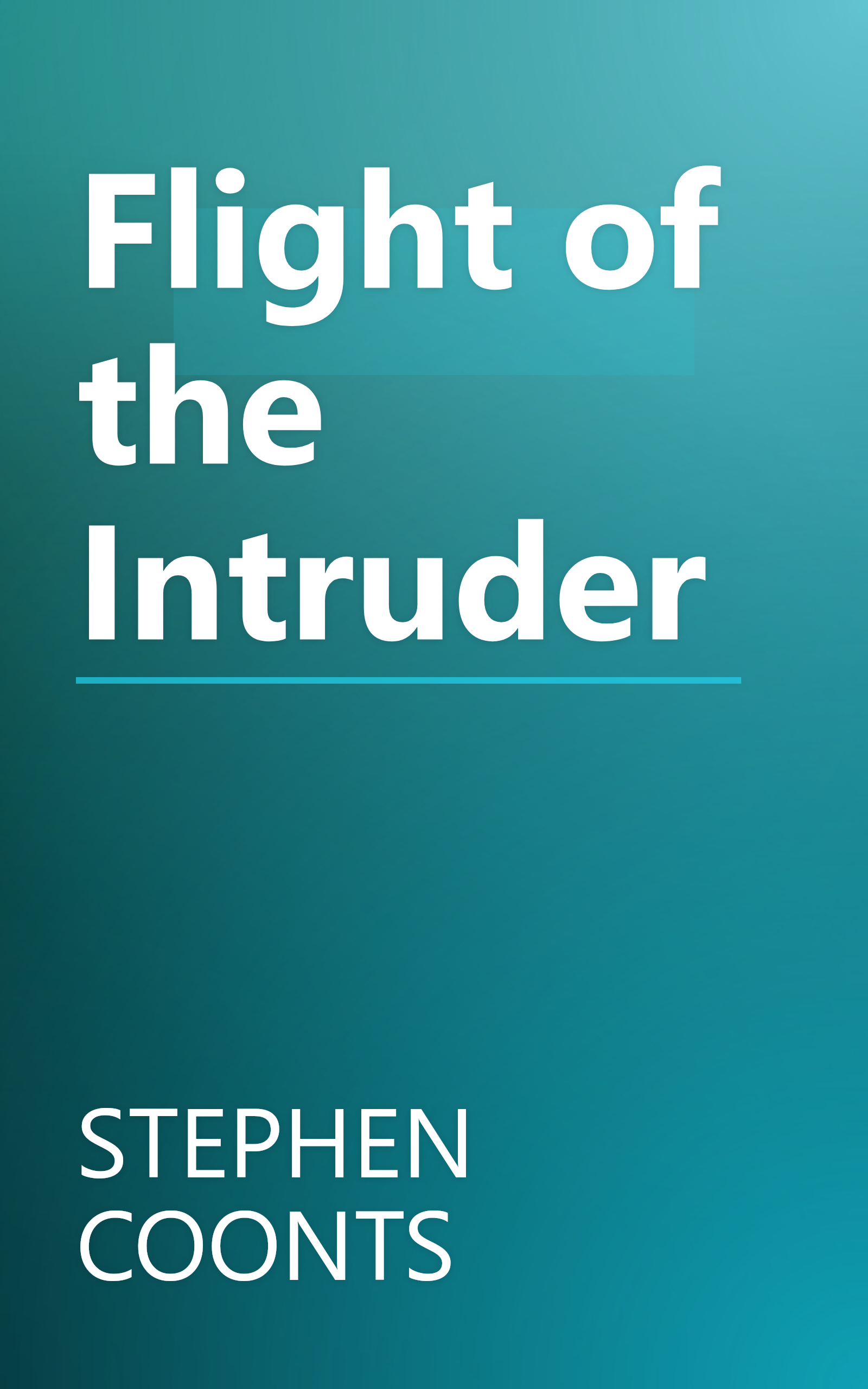 Flight of the Intruder book cover