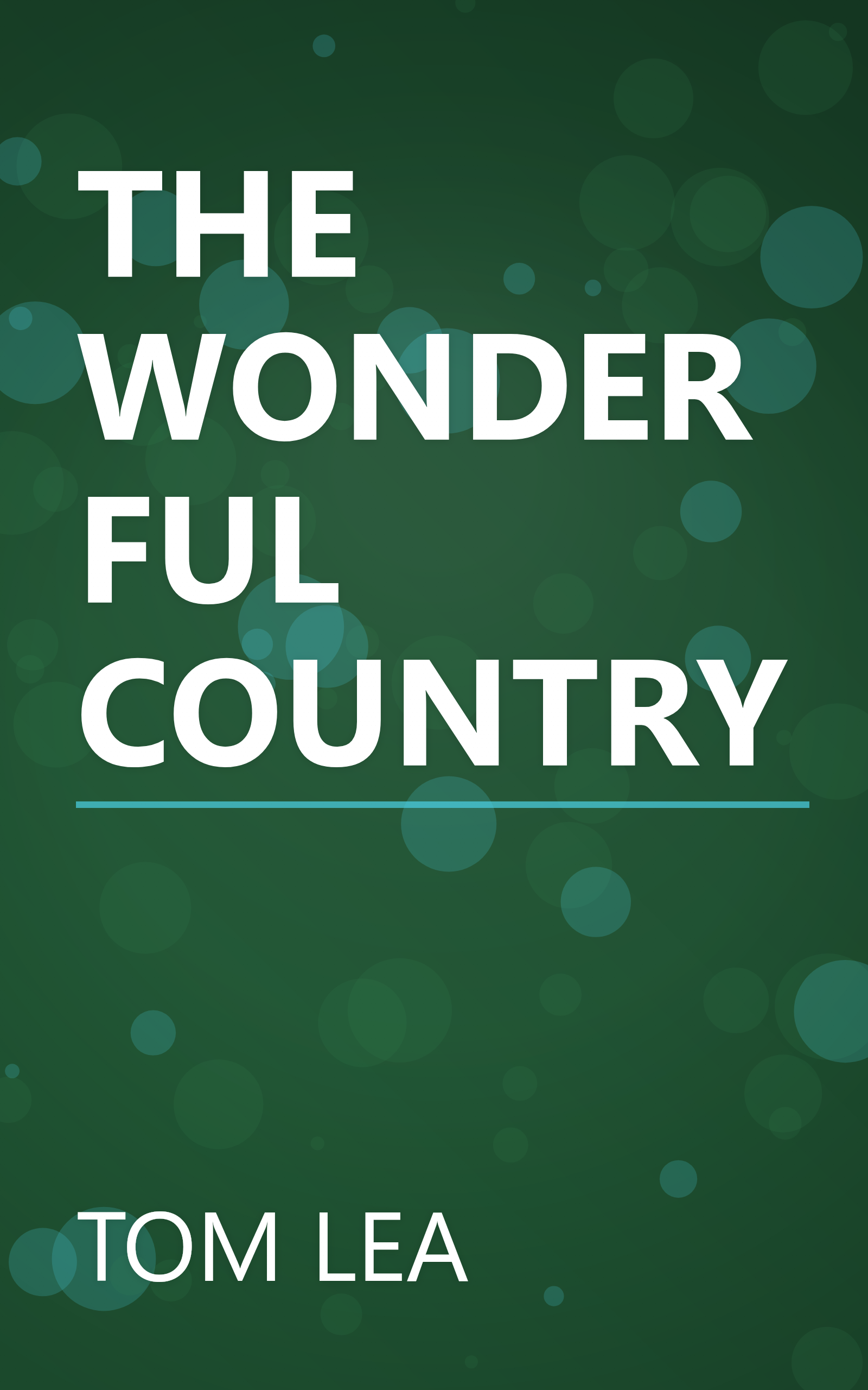 THE WONDERFUL COUNTRY book cover