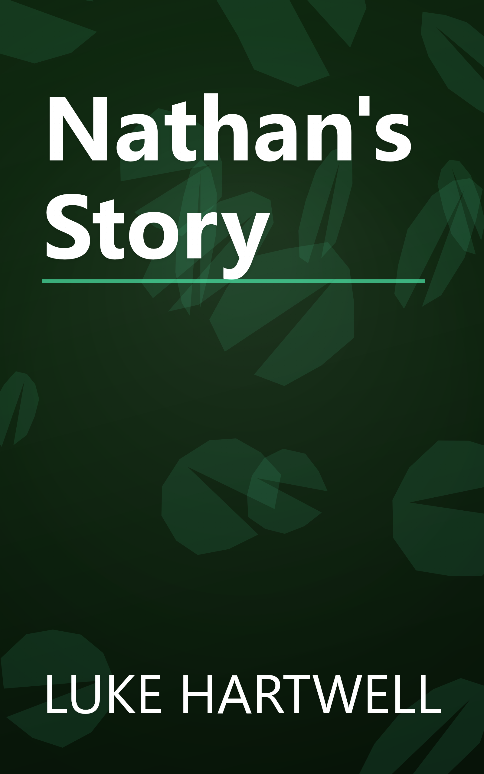 Nathan's Story book cover