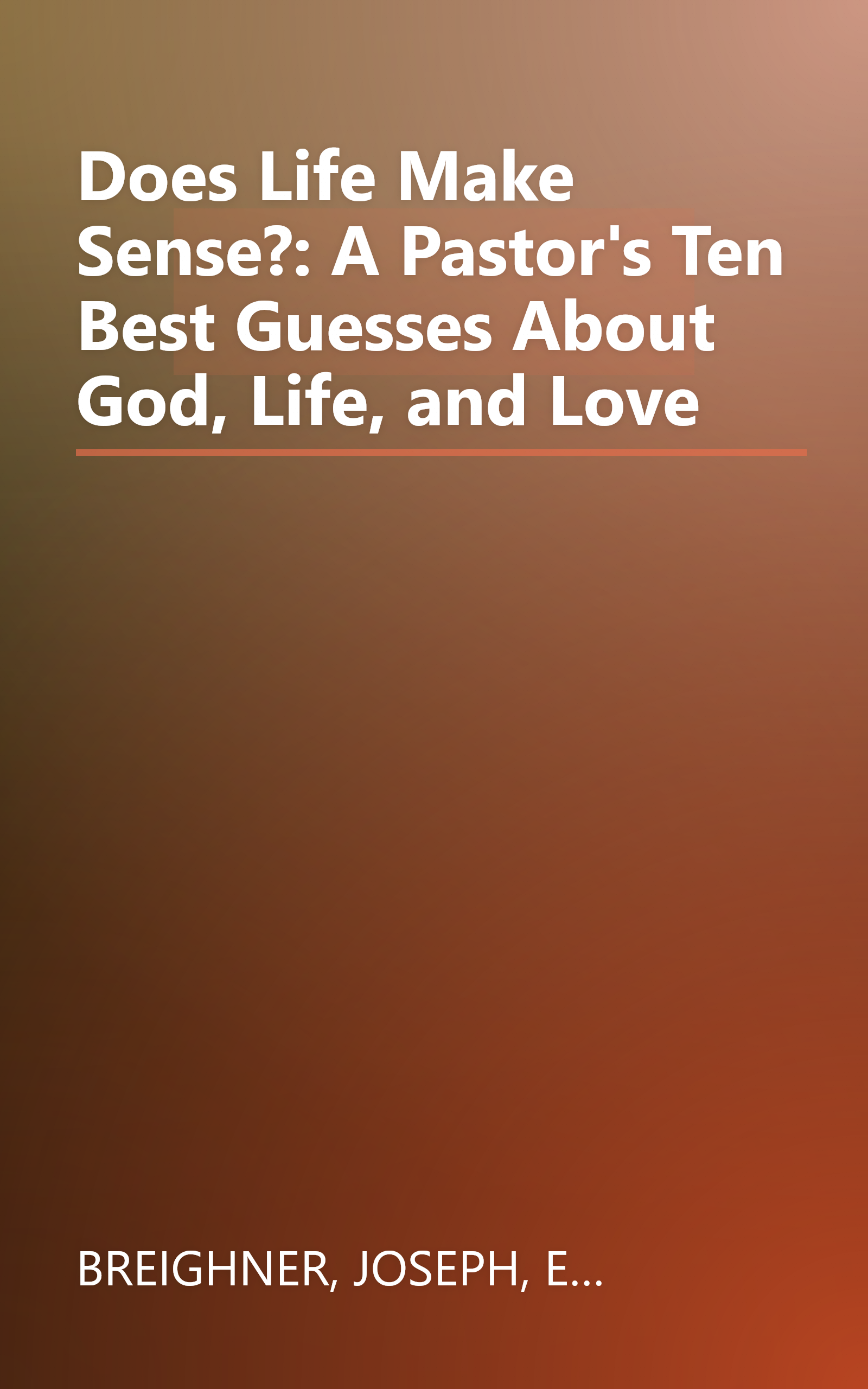 Does Life Make Sense?: A Pastor's Ten Best Guesses About God, Life, and Love book cover