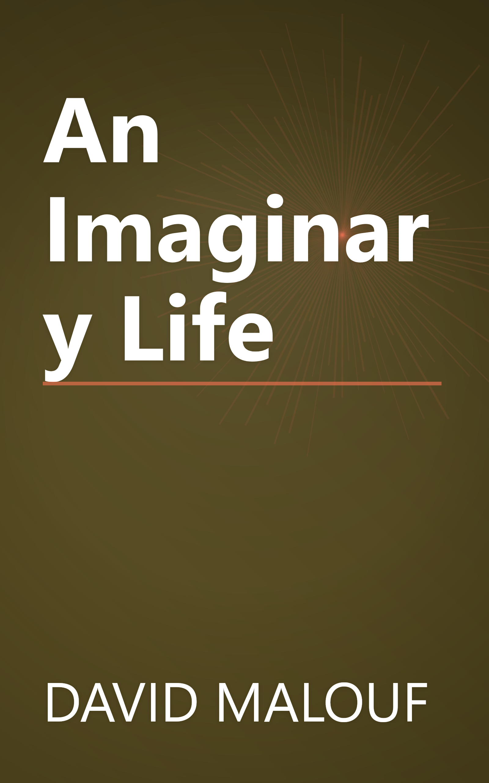 An Imaginary Life book cover