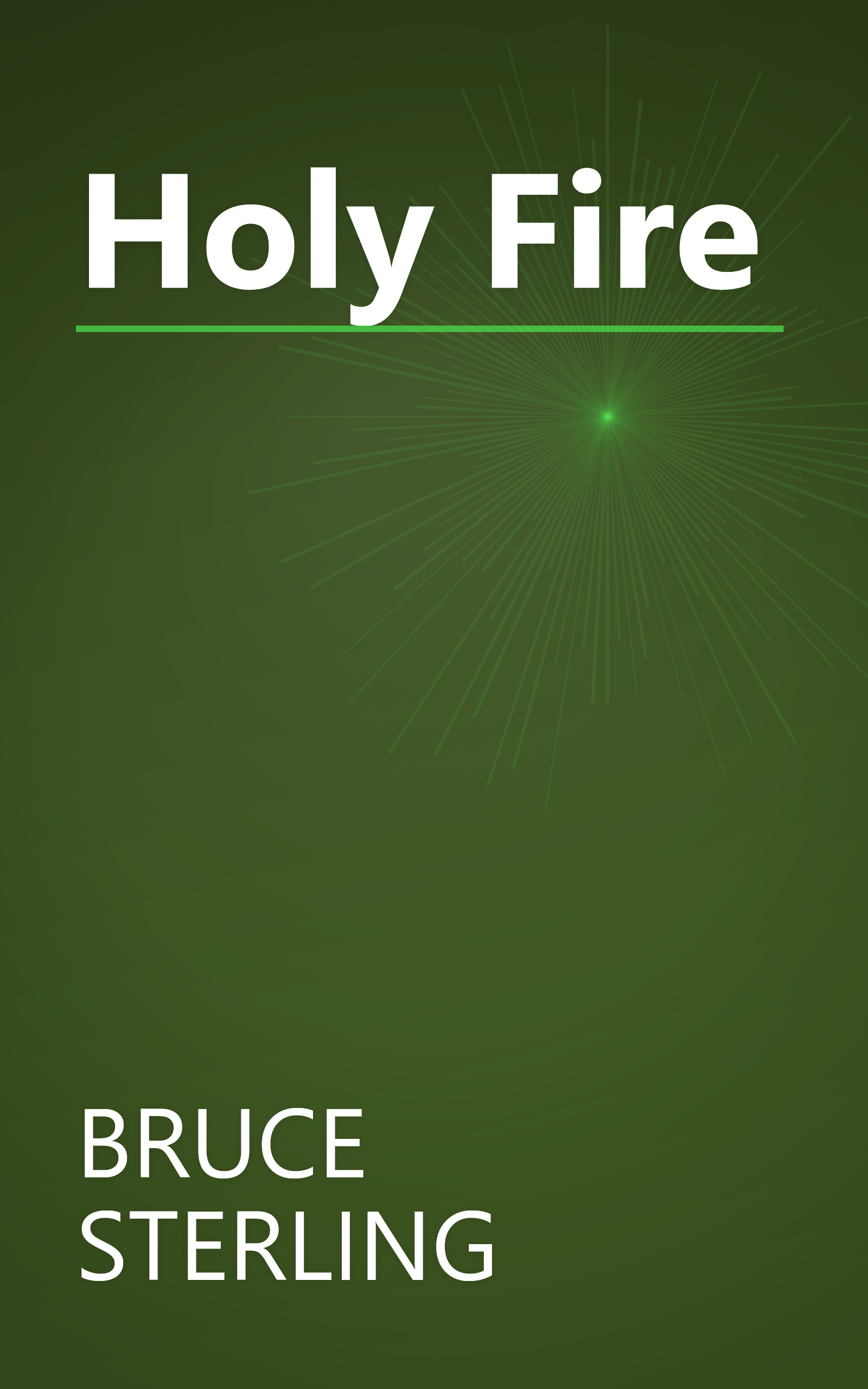Holy Fire book cover