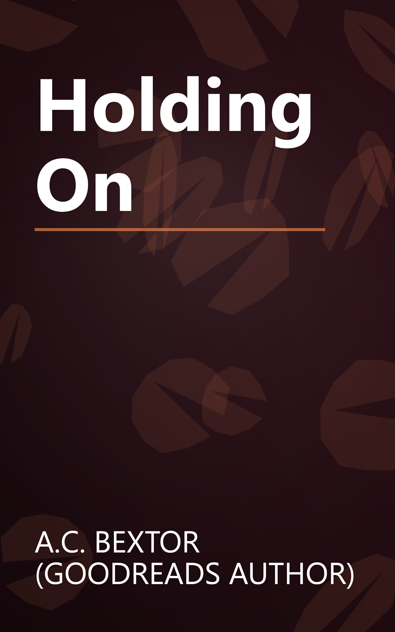 Holding On book cover