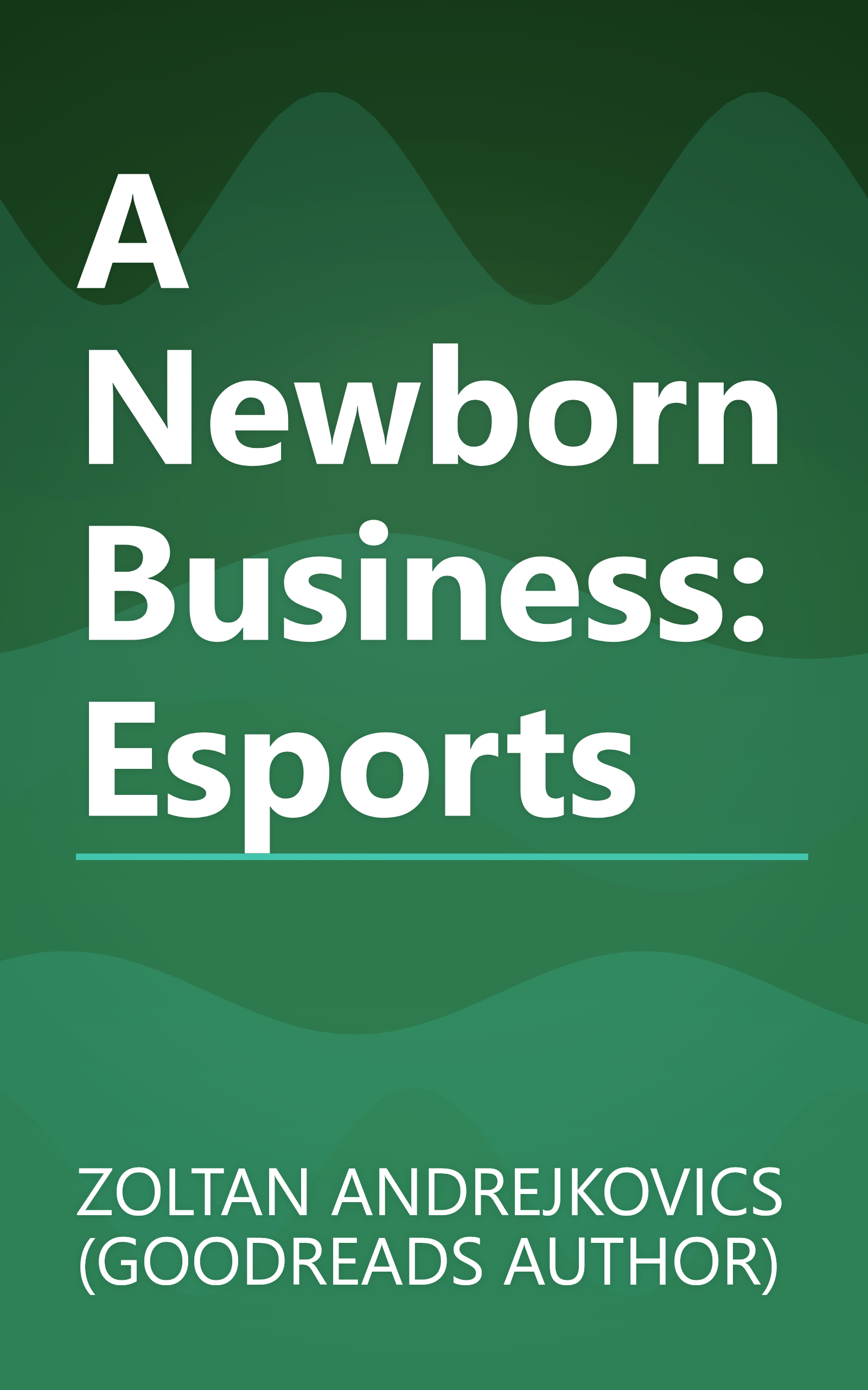 A Newborn Business: Esports book cover