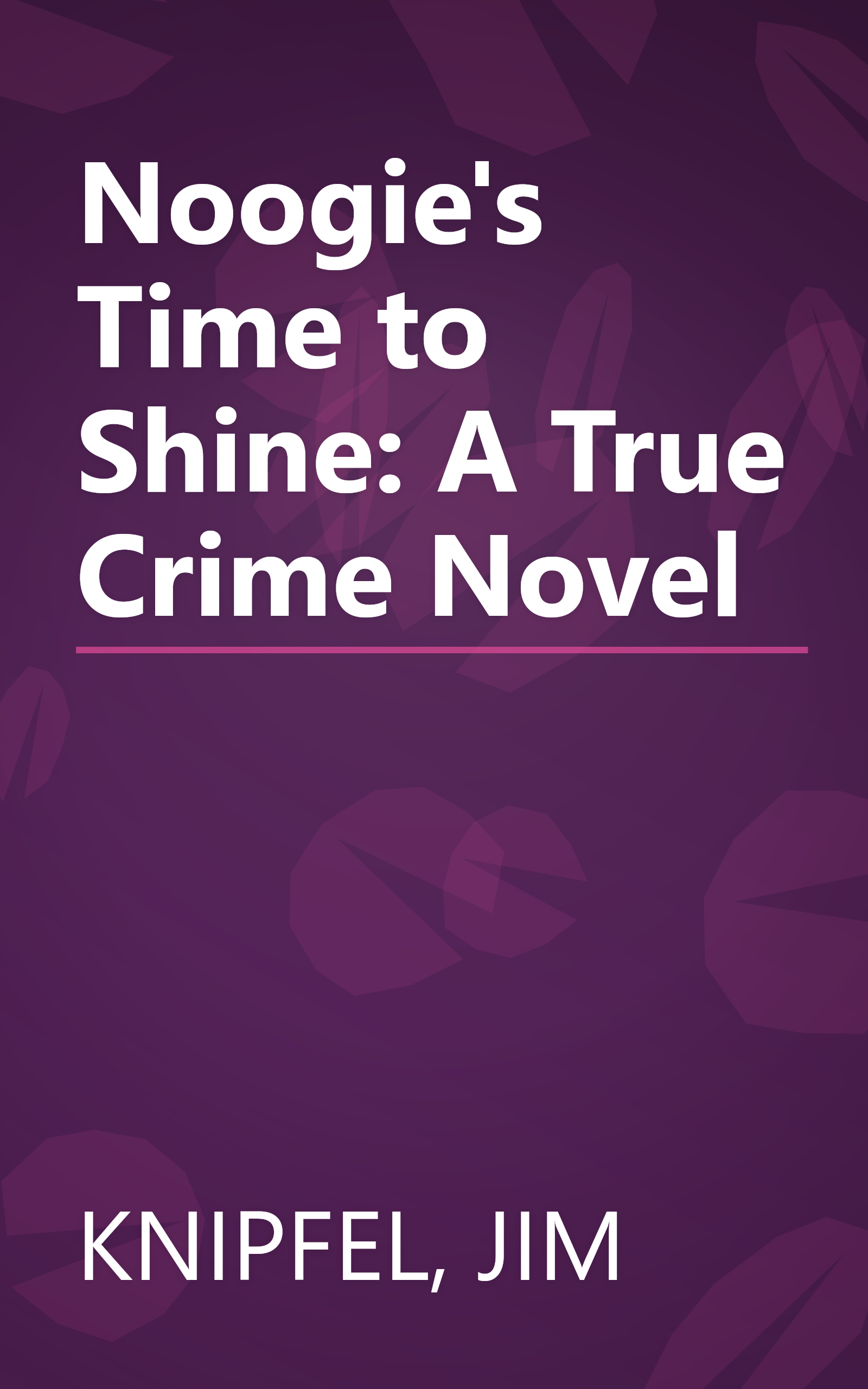 Noogie's Time to Shine: A True Crime Novel book cover