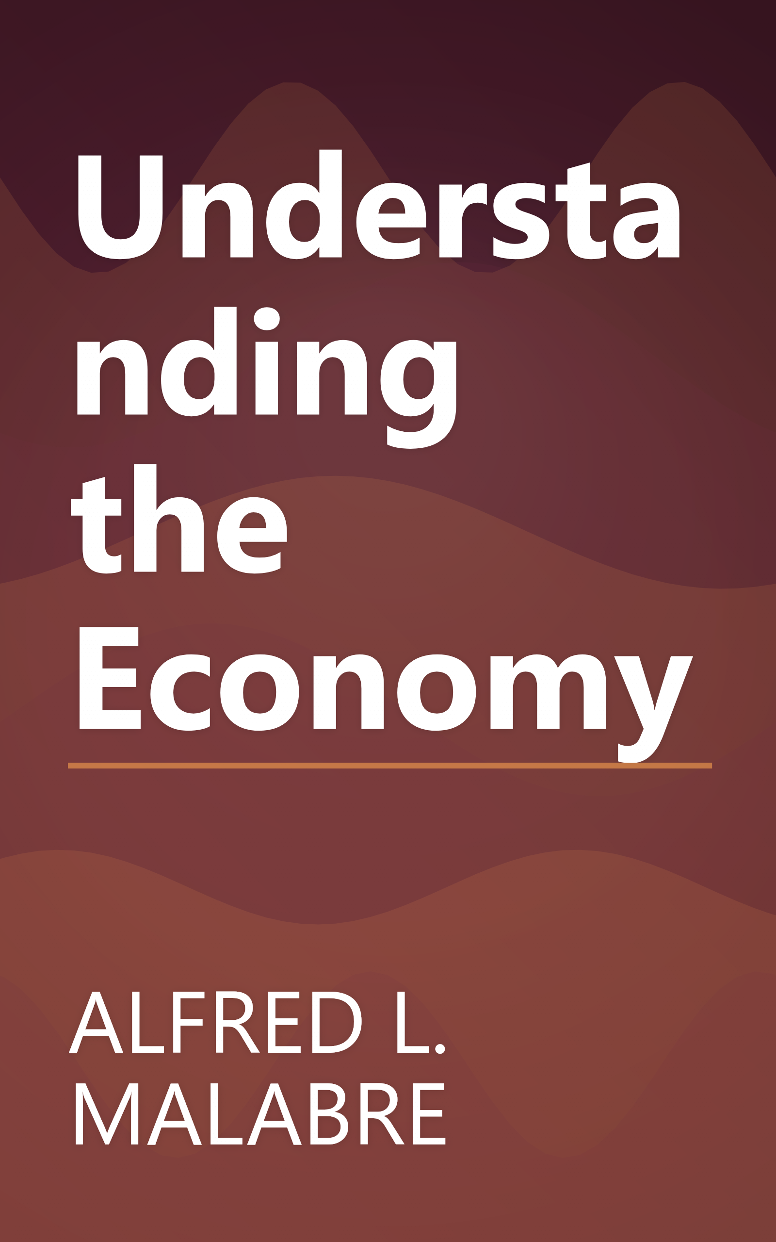 Understanding the Economy book cover