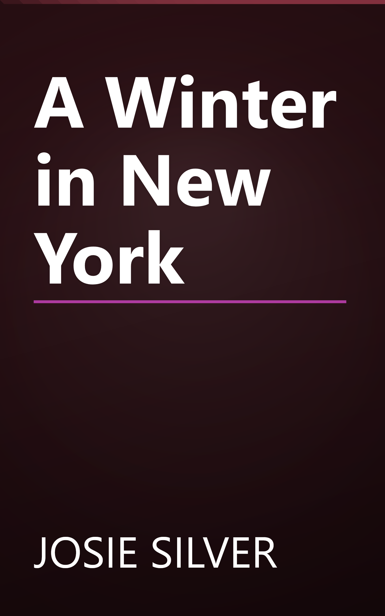 A Winter in New York book cover