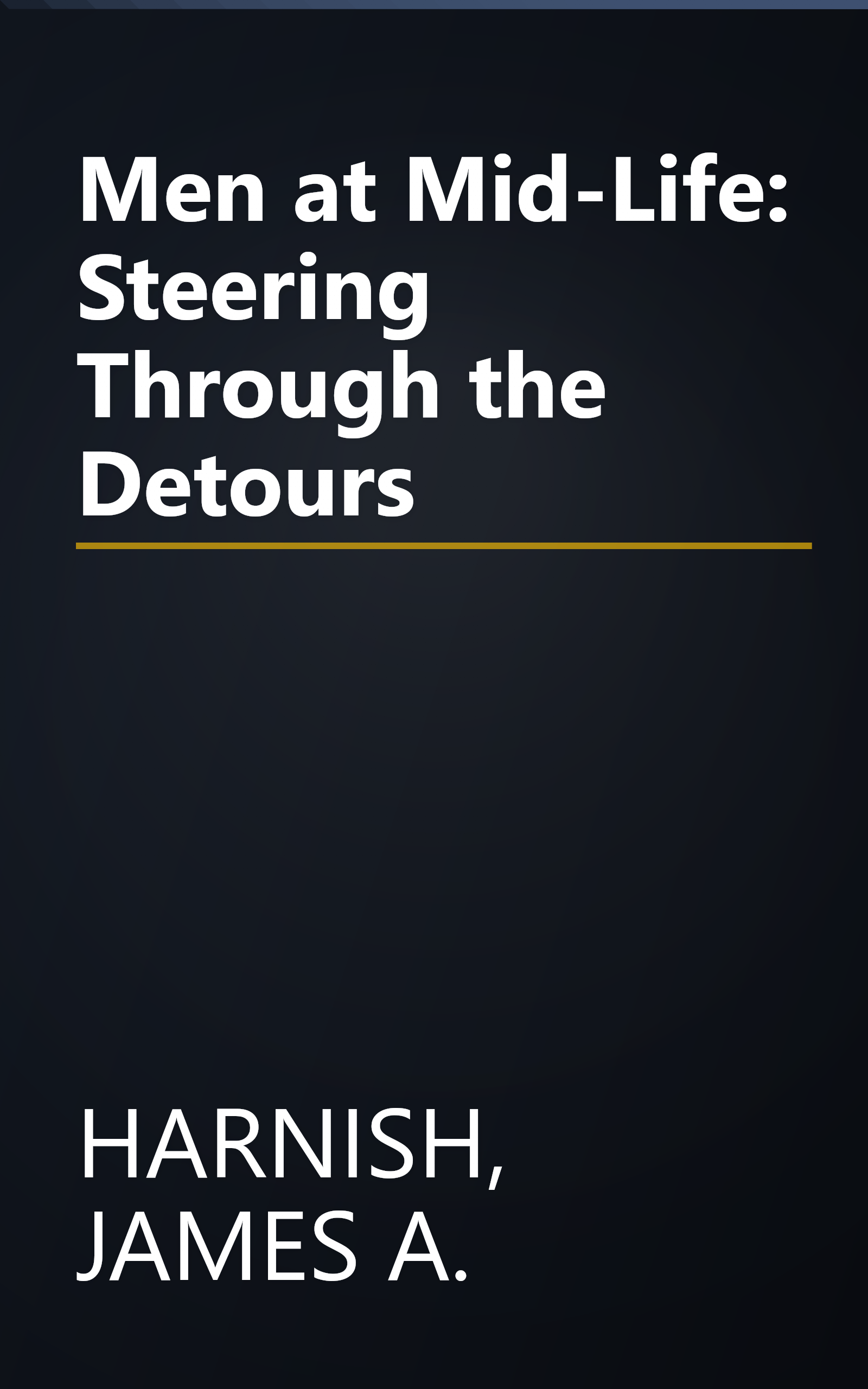 Men at Mid-Life: Steering Through the Detours book cover