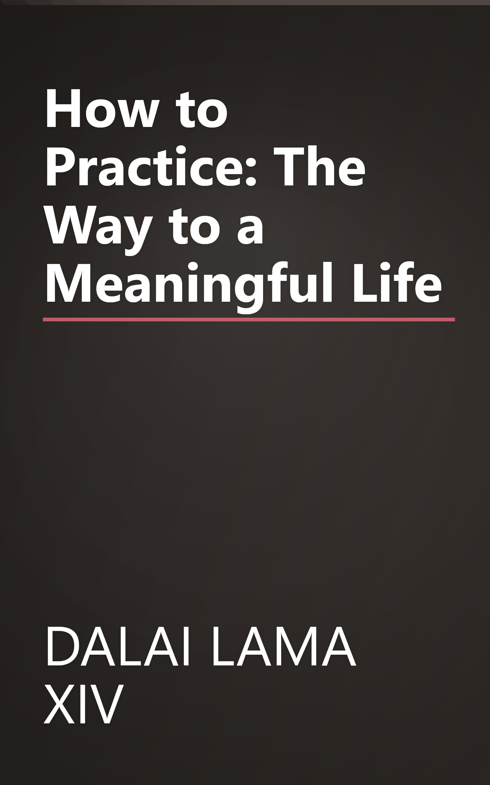 How to Practice: The Way to a Meaningful Life book cover