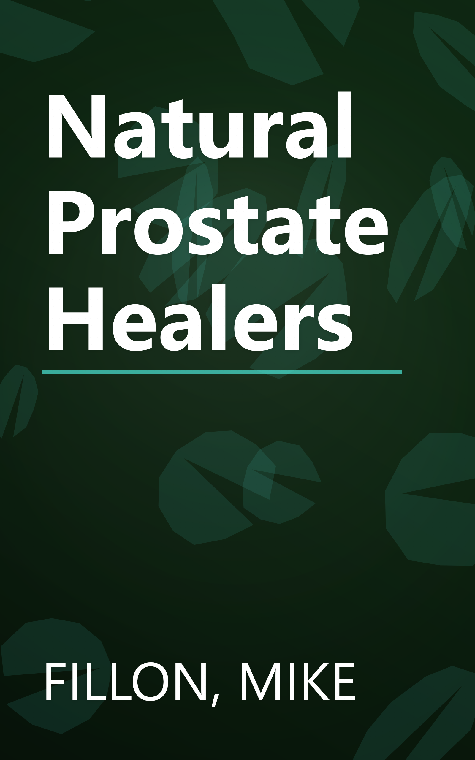 Natural Prostate Healers book cover