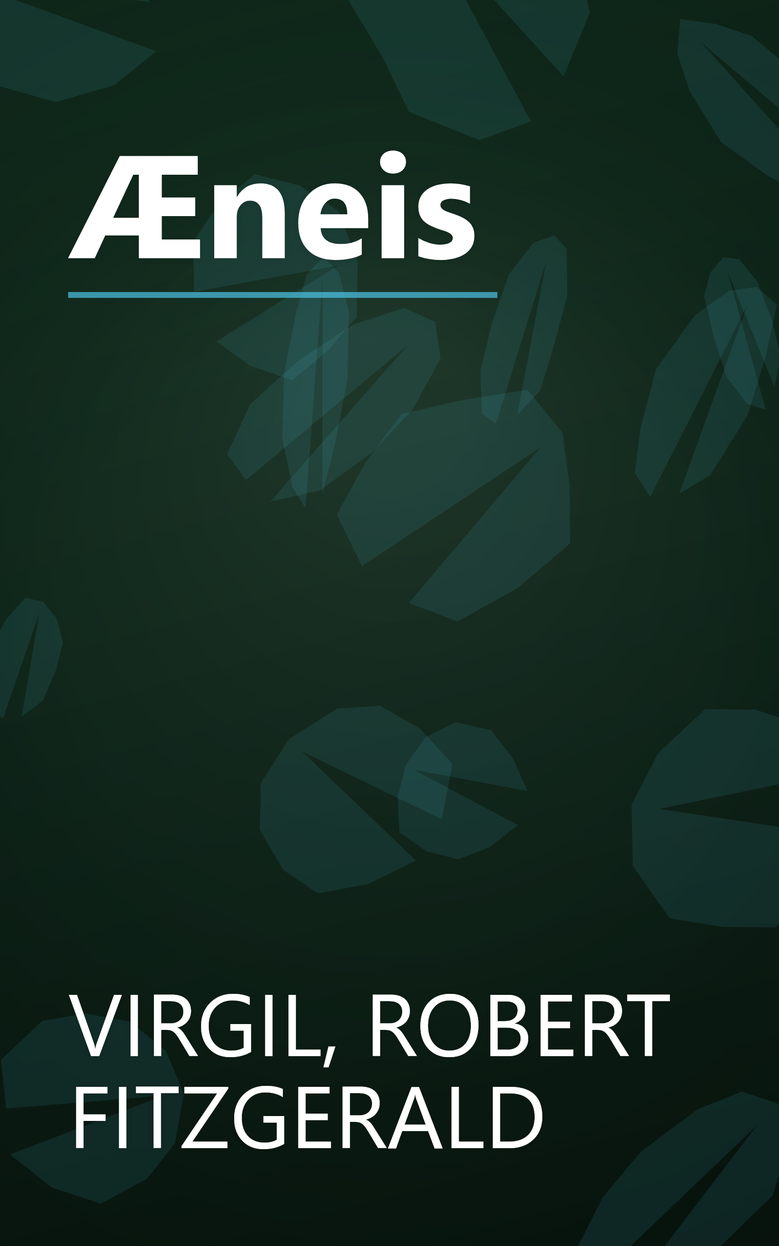 Æneis book cover