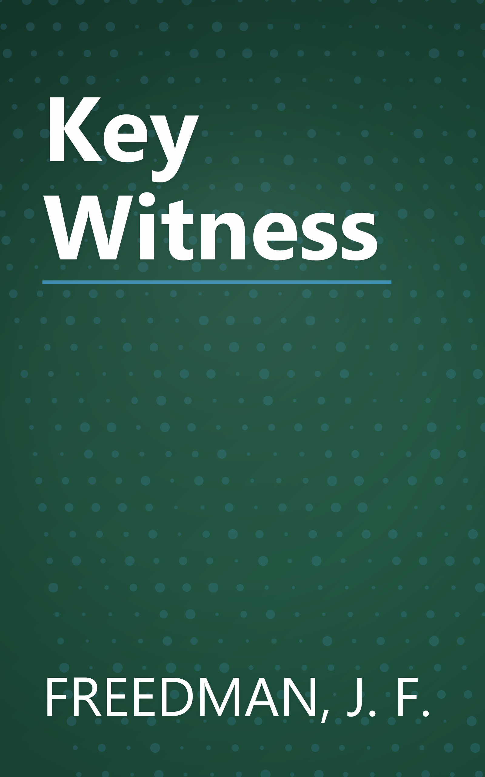 Key Witness book cover