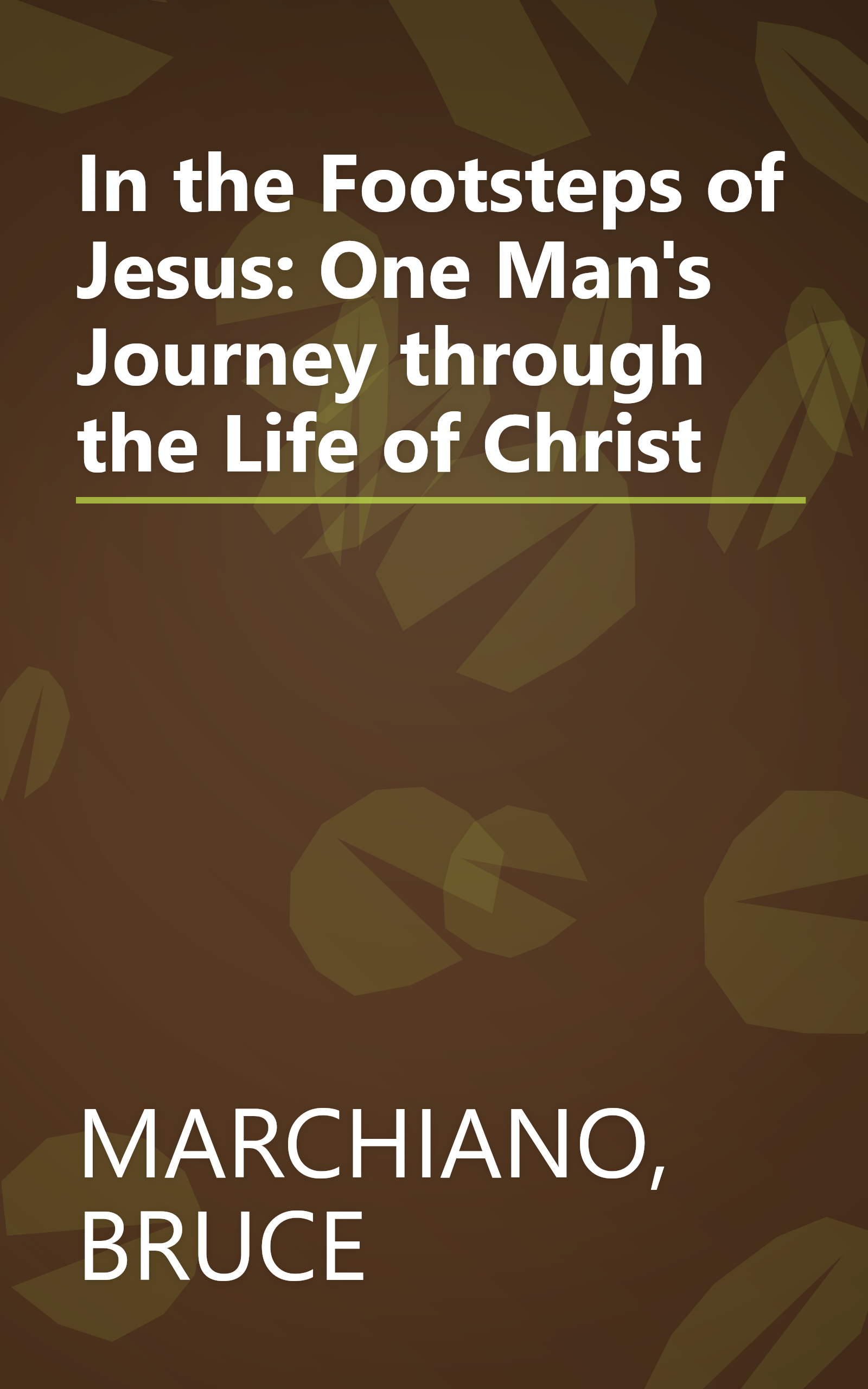 In the Footsteps of Jesus: One Man's Journey through the Life of Christ book cover
