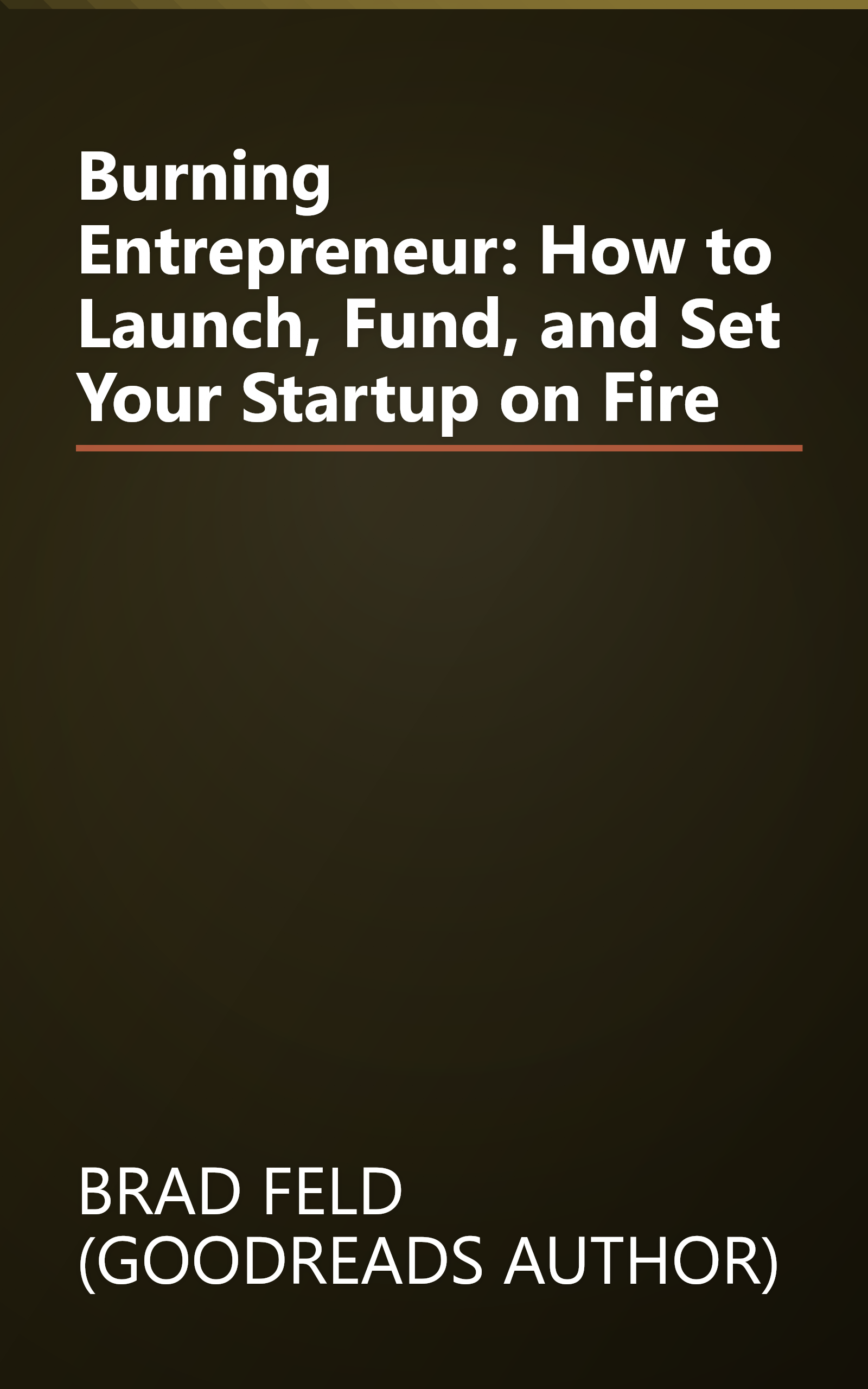 Burning Entrepreneur: How to Launch, Fund, and Set Your Startup on Fire book cover
