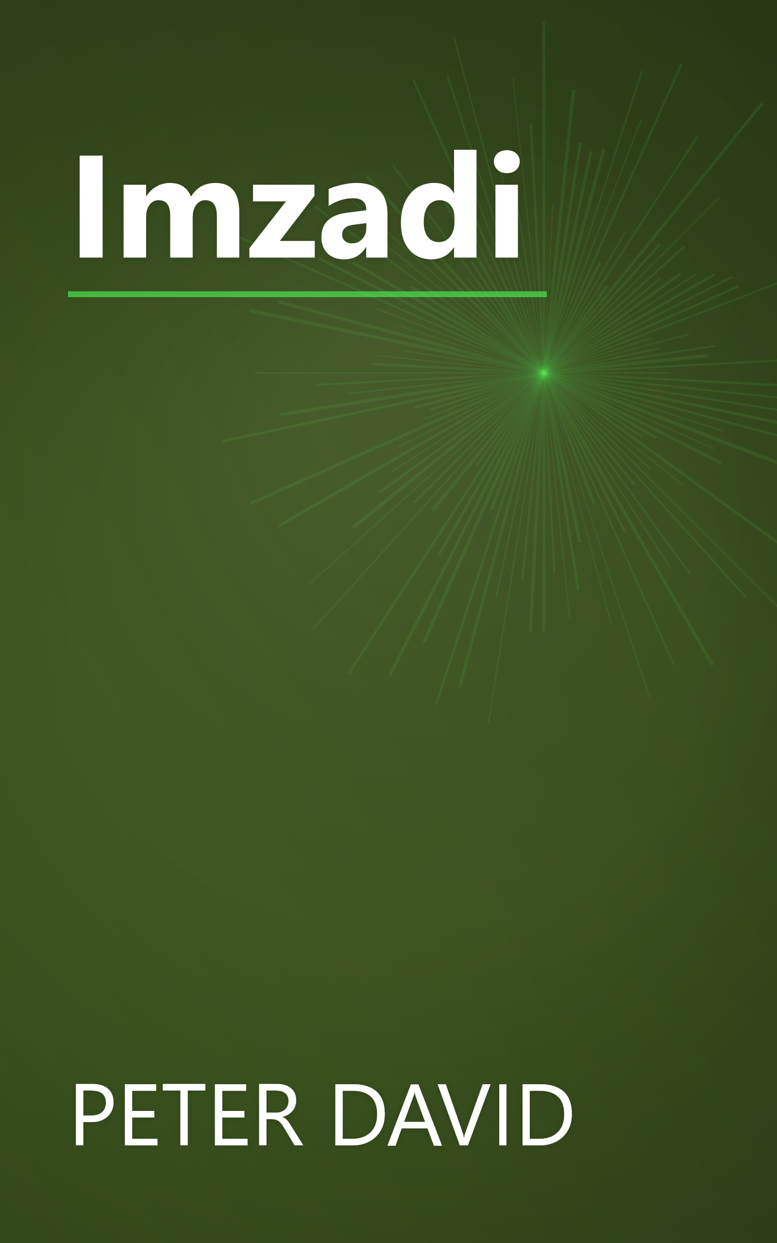 Imzadi book cover
