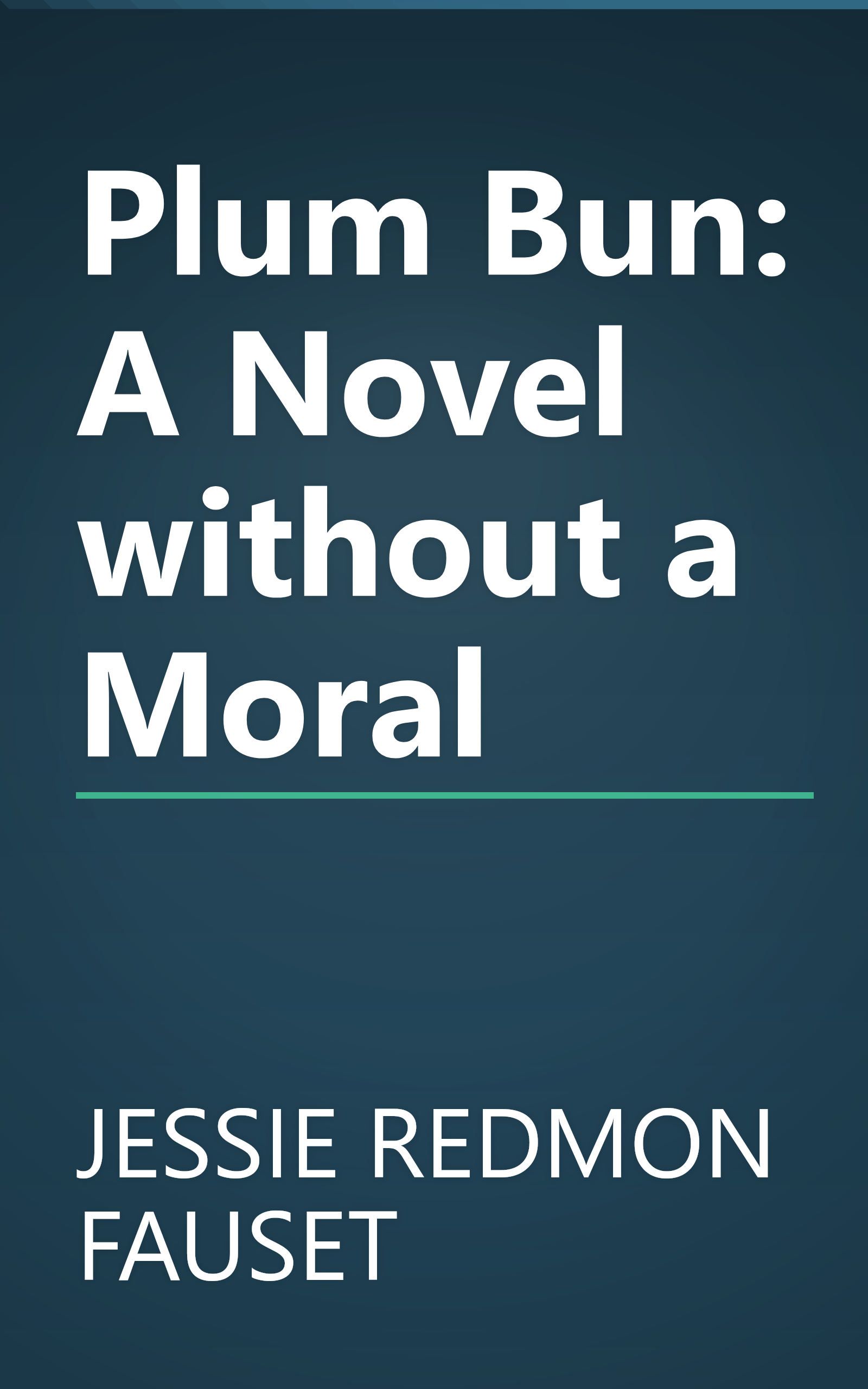 Plum Bun: A Novel without a Moral book cover