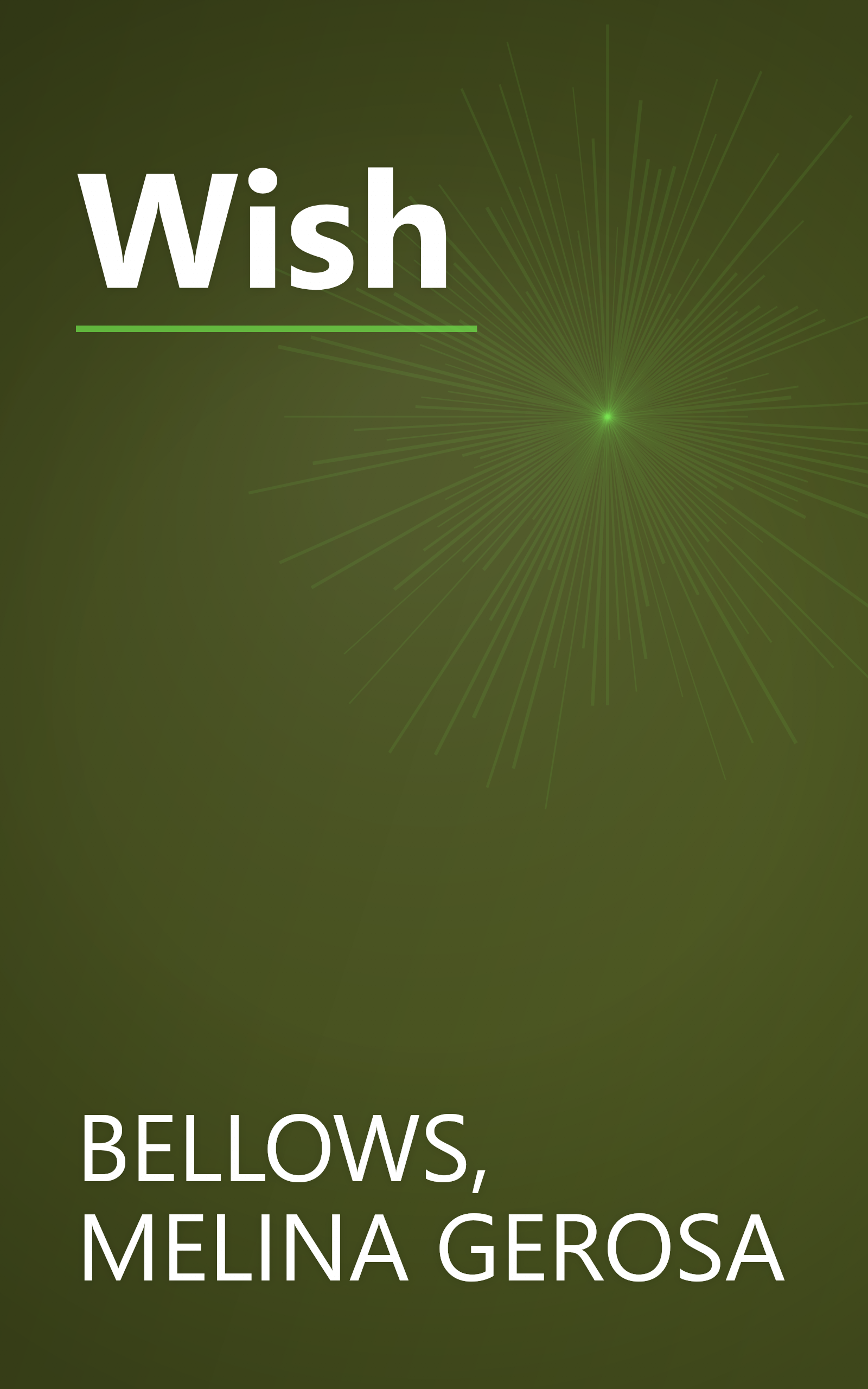 Wish book cover