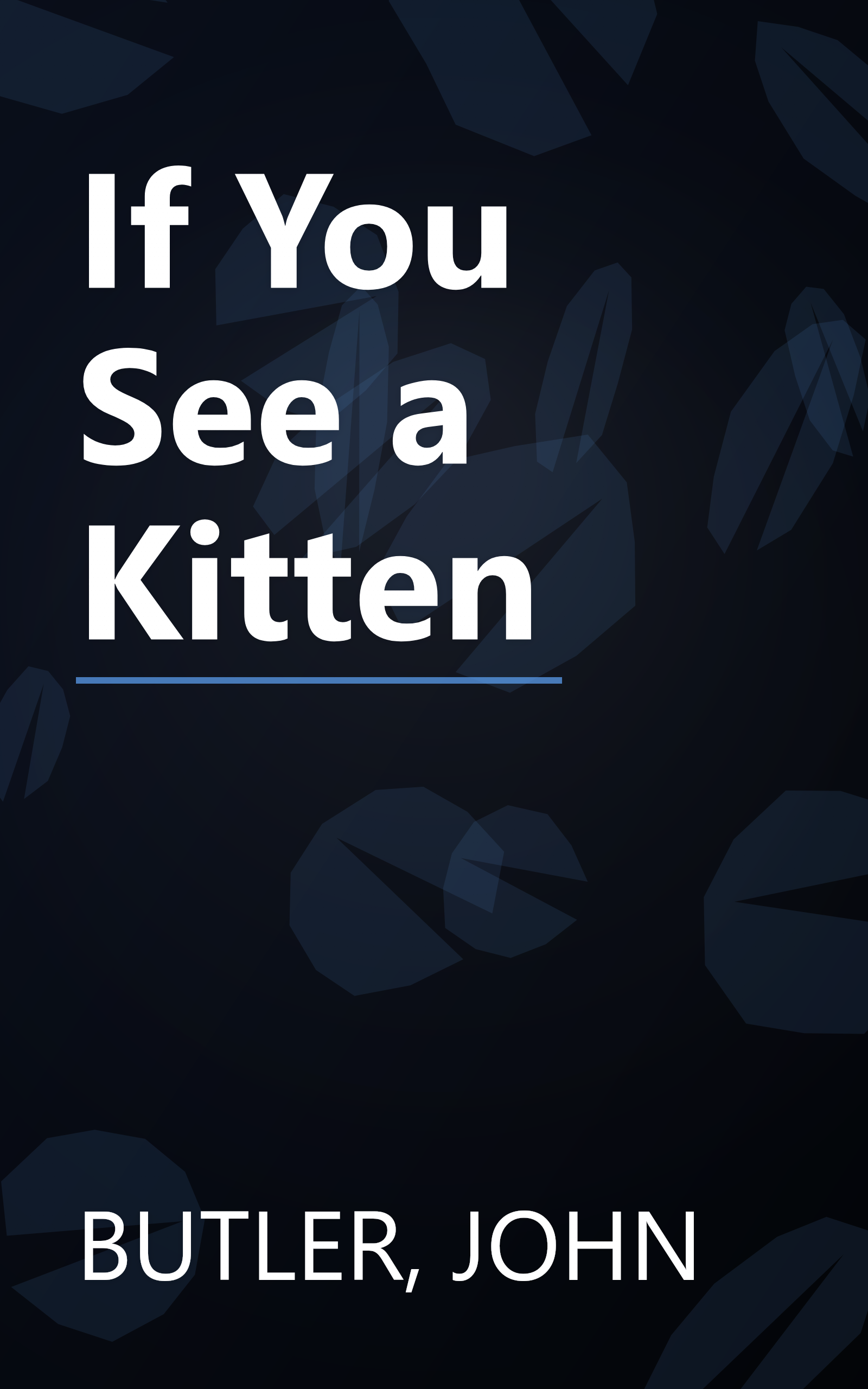 If You See a Kitten book cover