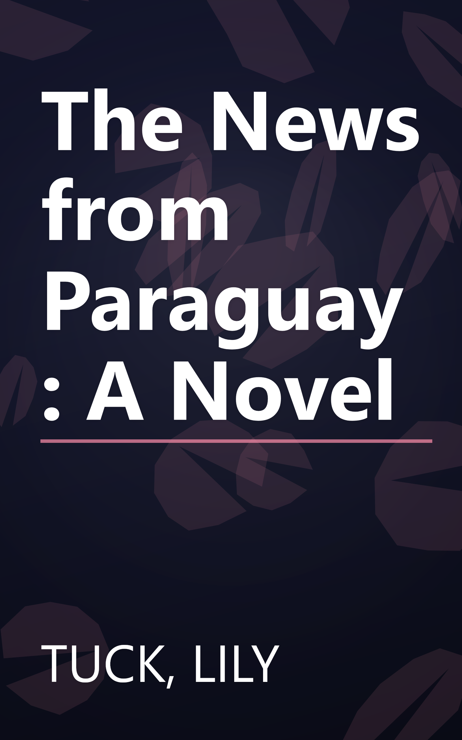 The News from Paraguay: A Novel book cover