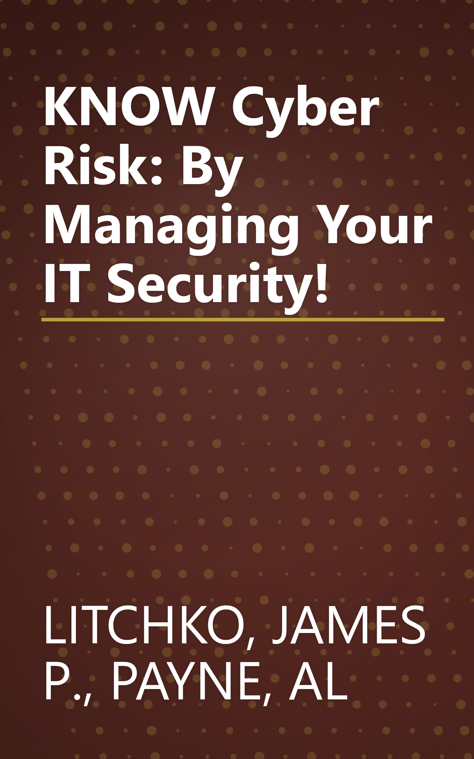 KNOW Cyber Risk: By Managing Your IT Security! book cover