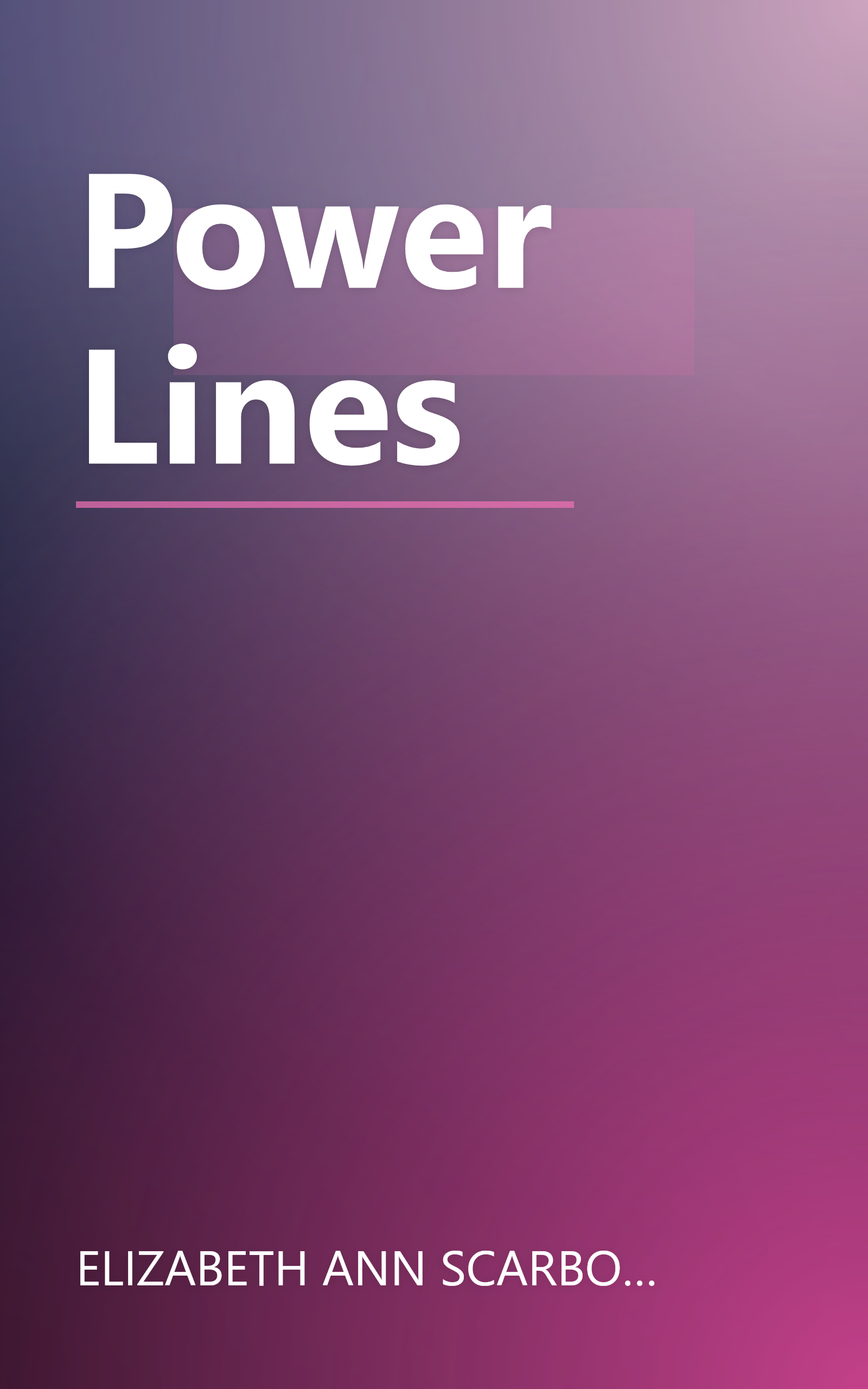 Power Lines book cover