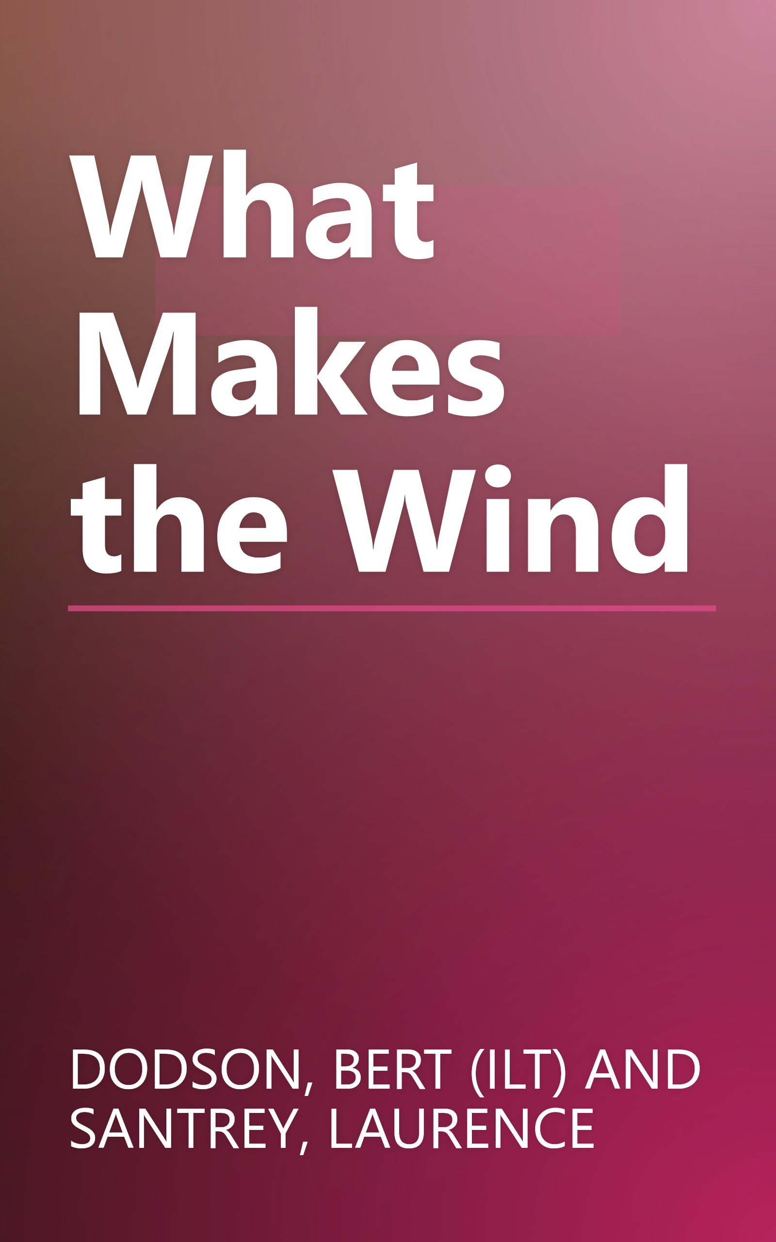 What Makes the Wind book cover