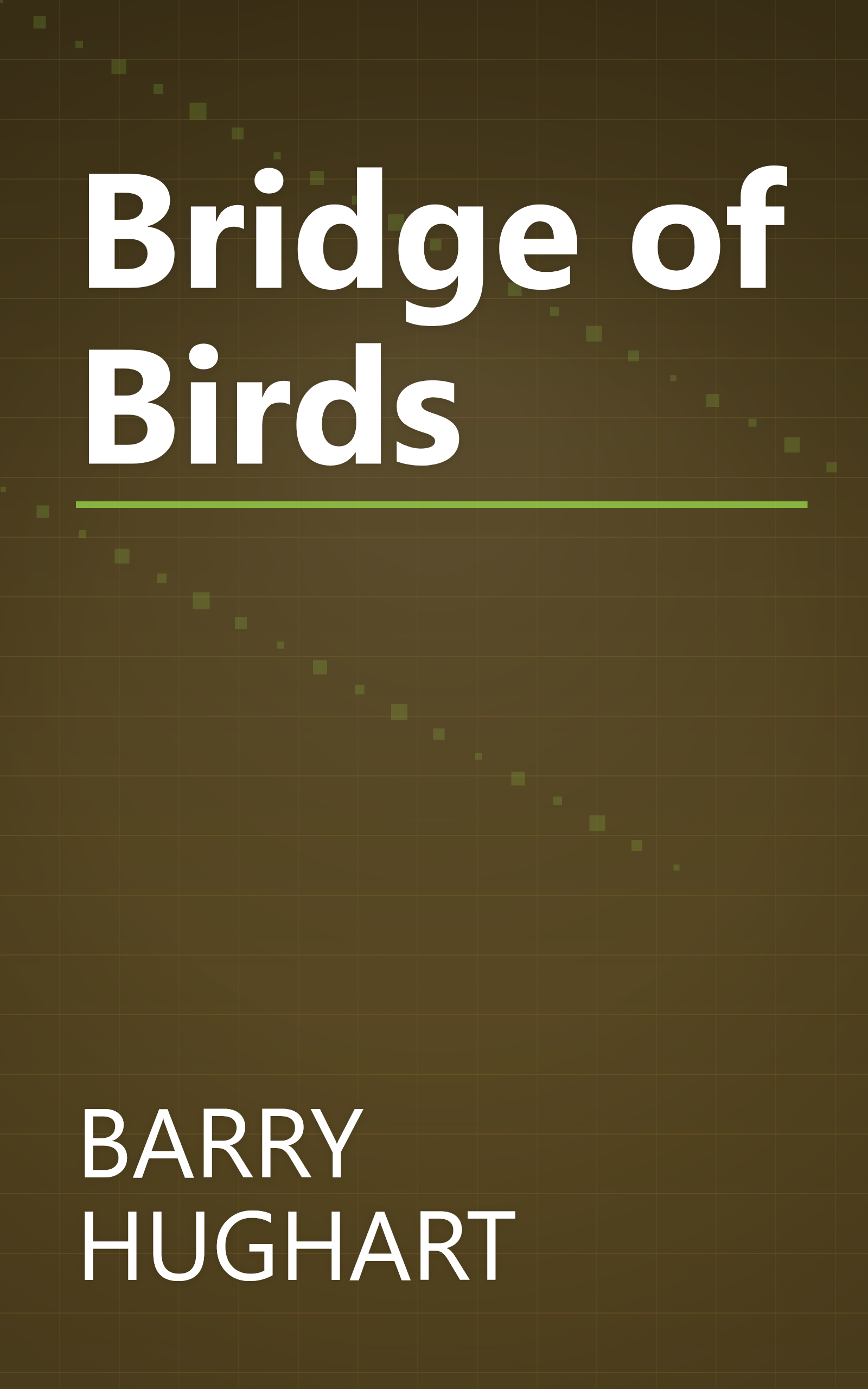 Bridge of Birds book cover