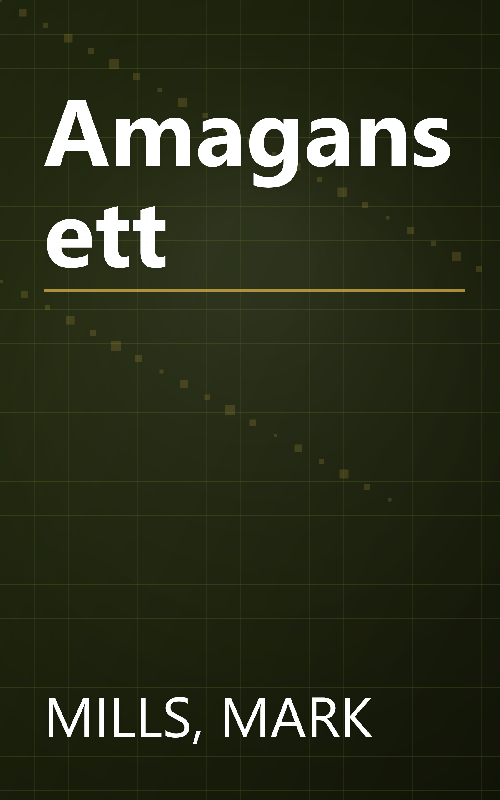 Amagansett book cover