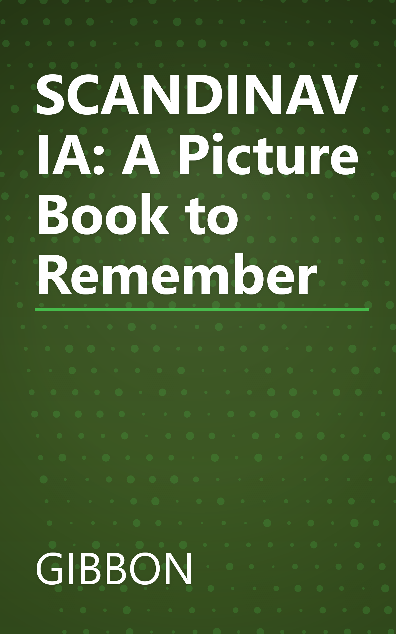 SCANDINAVIA: A Picture Book to Remember book cover