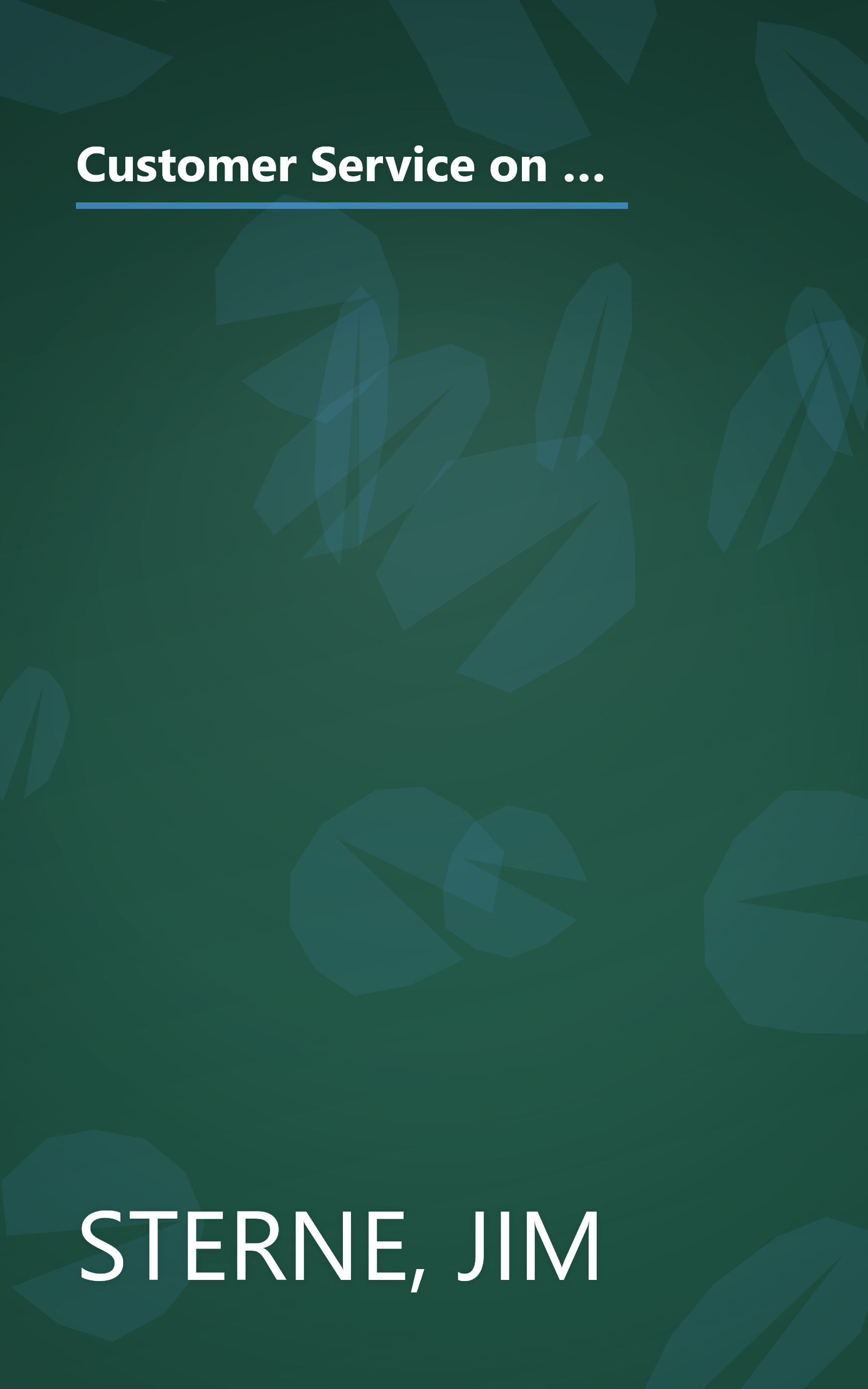 Customer Service on the Internet: Building Relationships, Increasing Loyalty, and Staying Competitive book cover