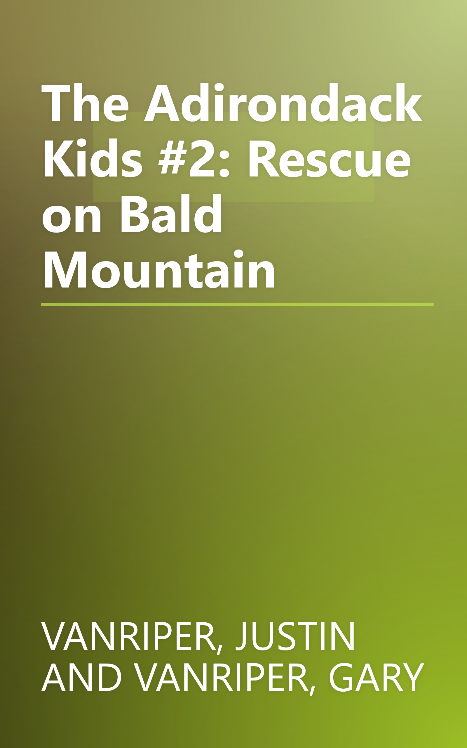 The Adirondack Kids #2: Rescue on Bald Mountain book cover