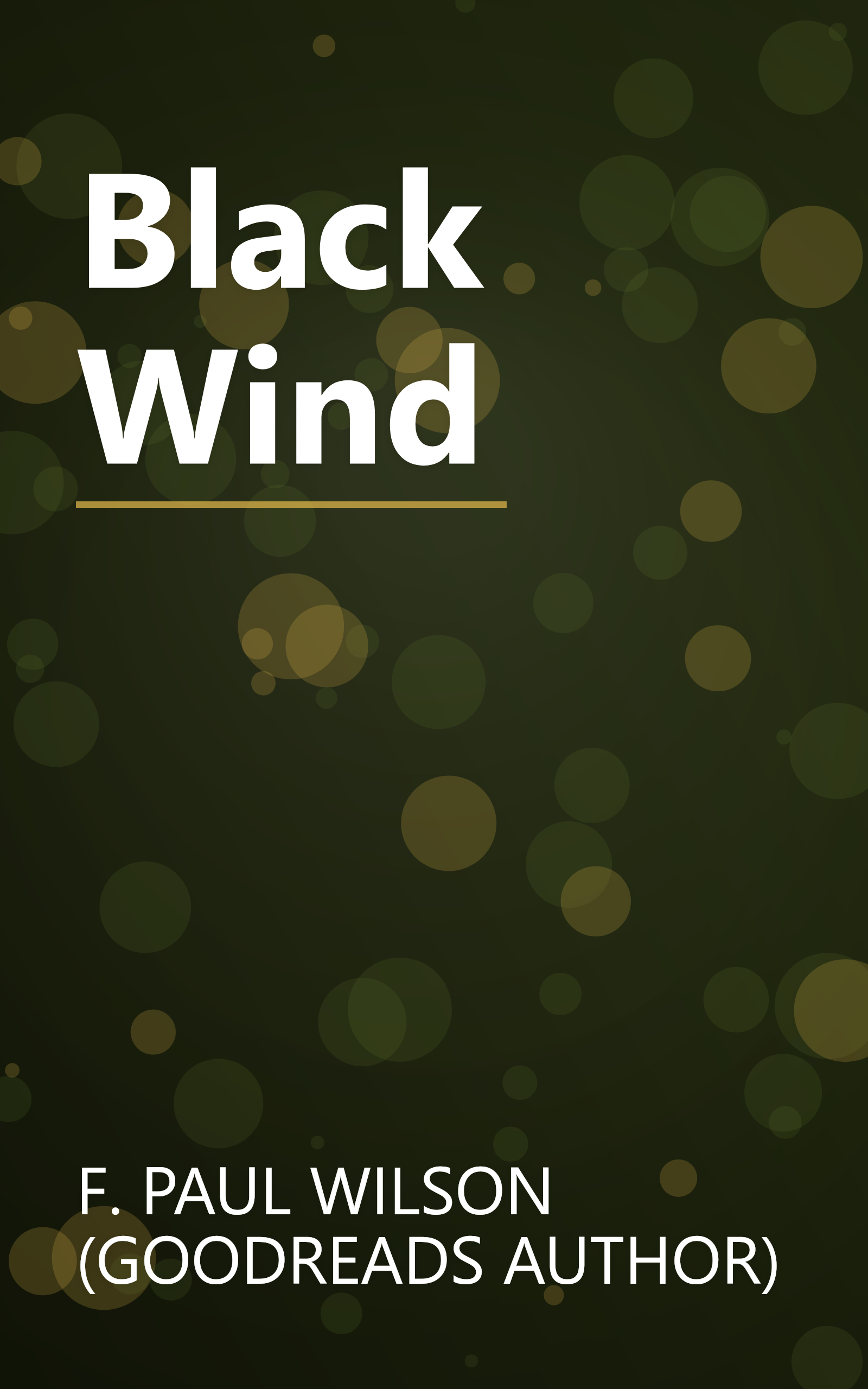 Black Wind book cover