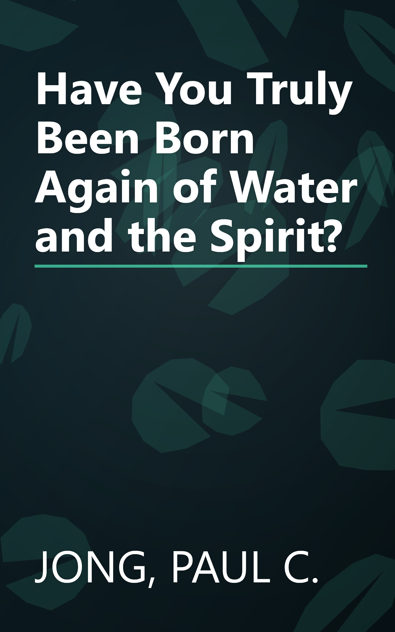 Have You Truly Been Born Again of Water and the Spirit? book cover