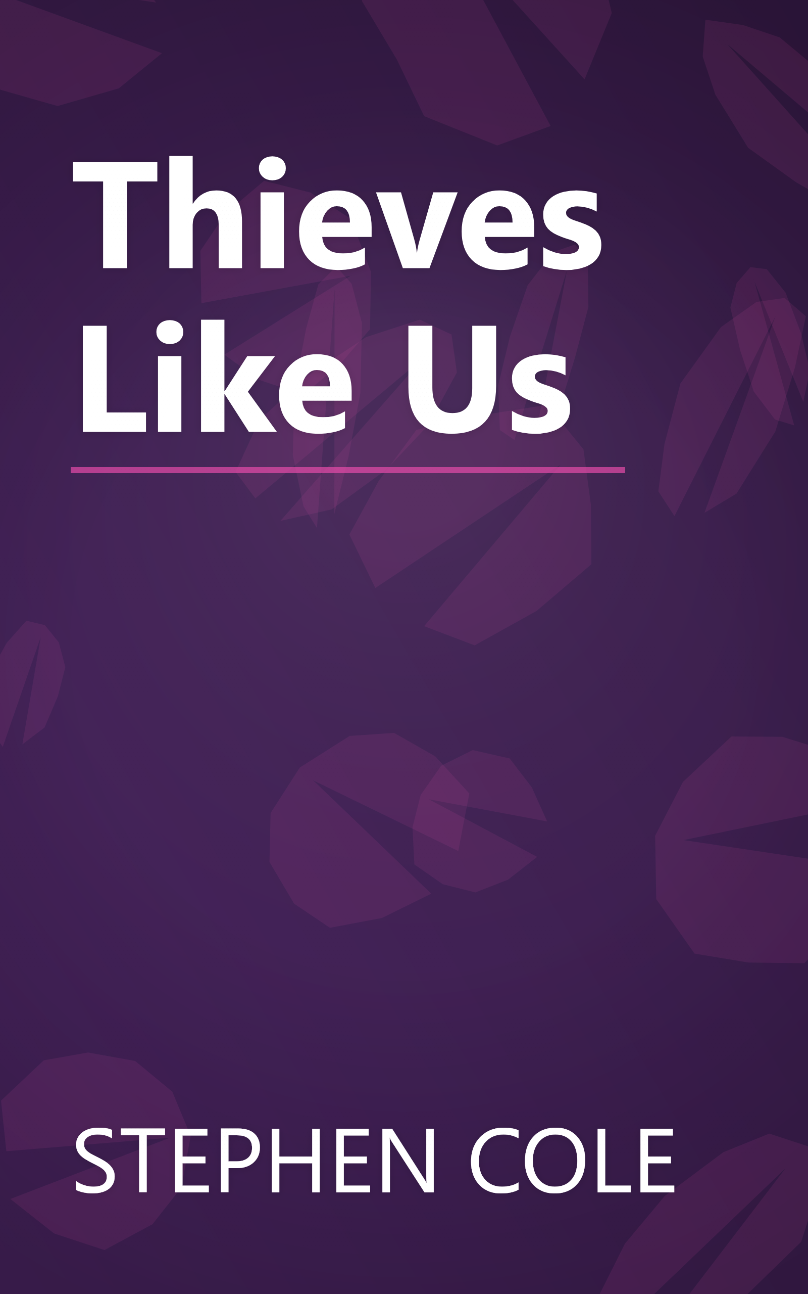 Thieves Like Us book cover