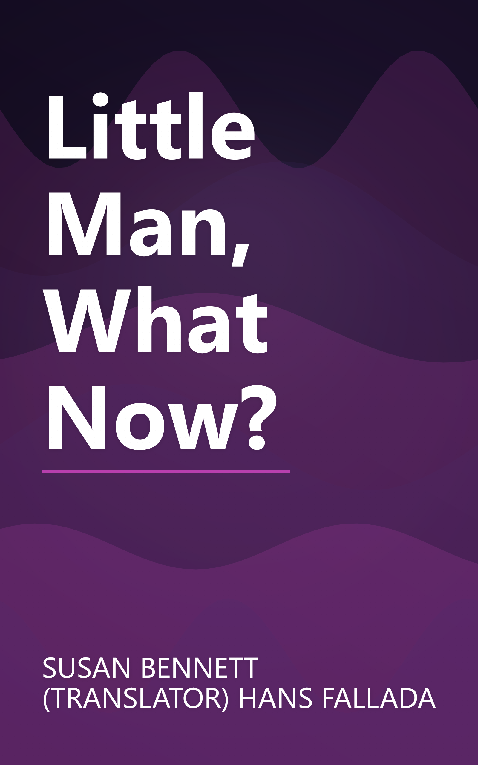 Little Man, What Now? book cover