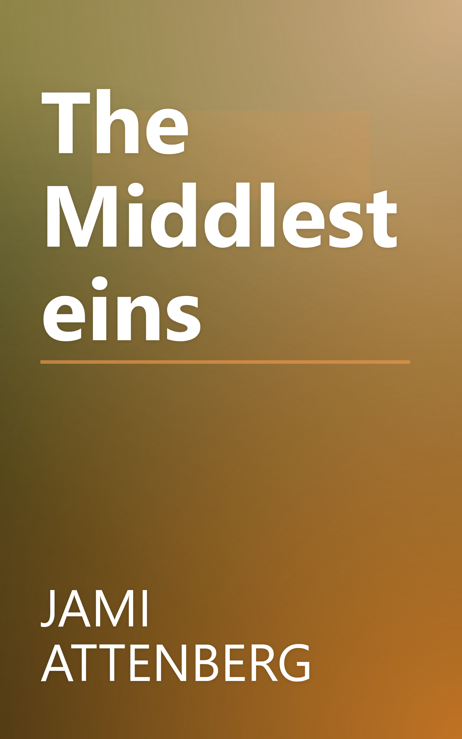 The Middlesteins book cover