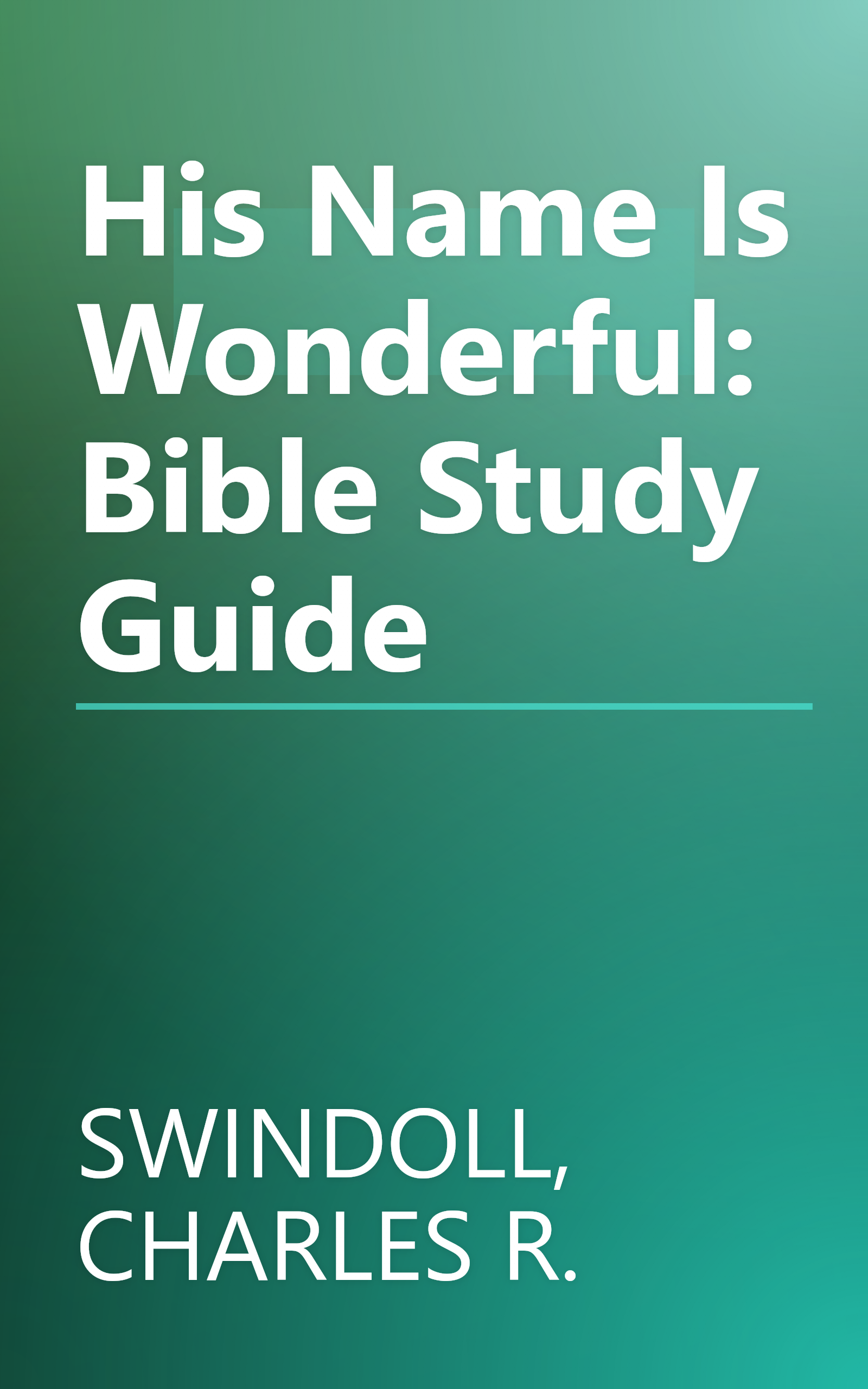 His Name Is Wonderful: Bible Study Guide book cover