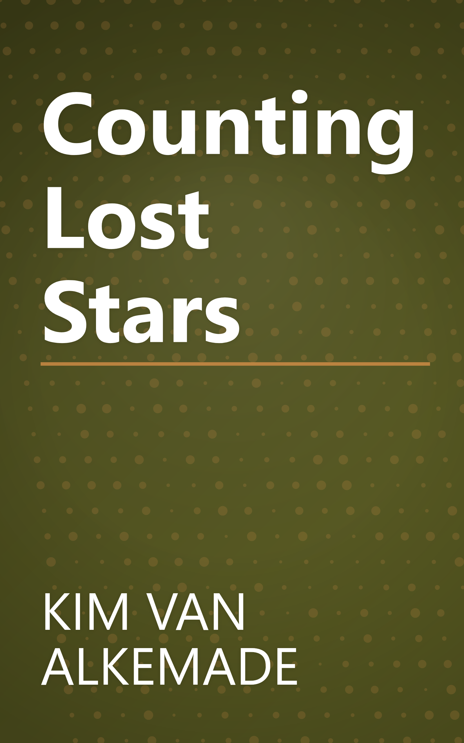 Counting Lost Stars book cover