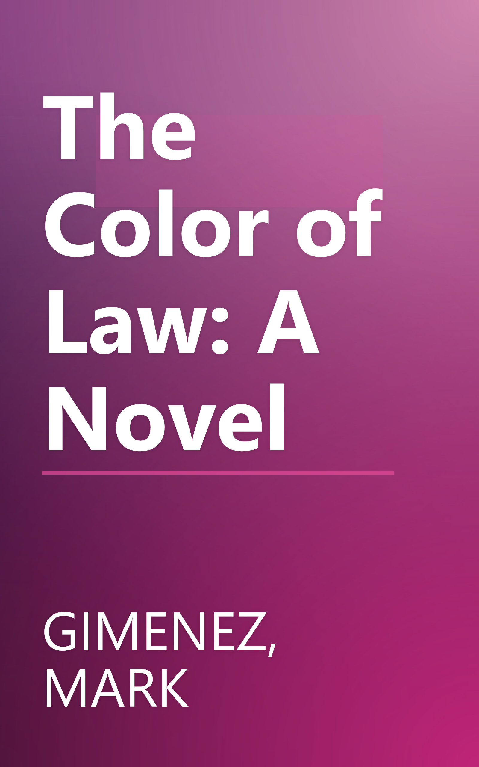 The Color of Law: A Novel book cover