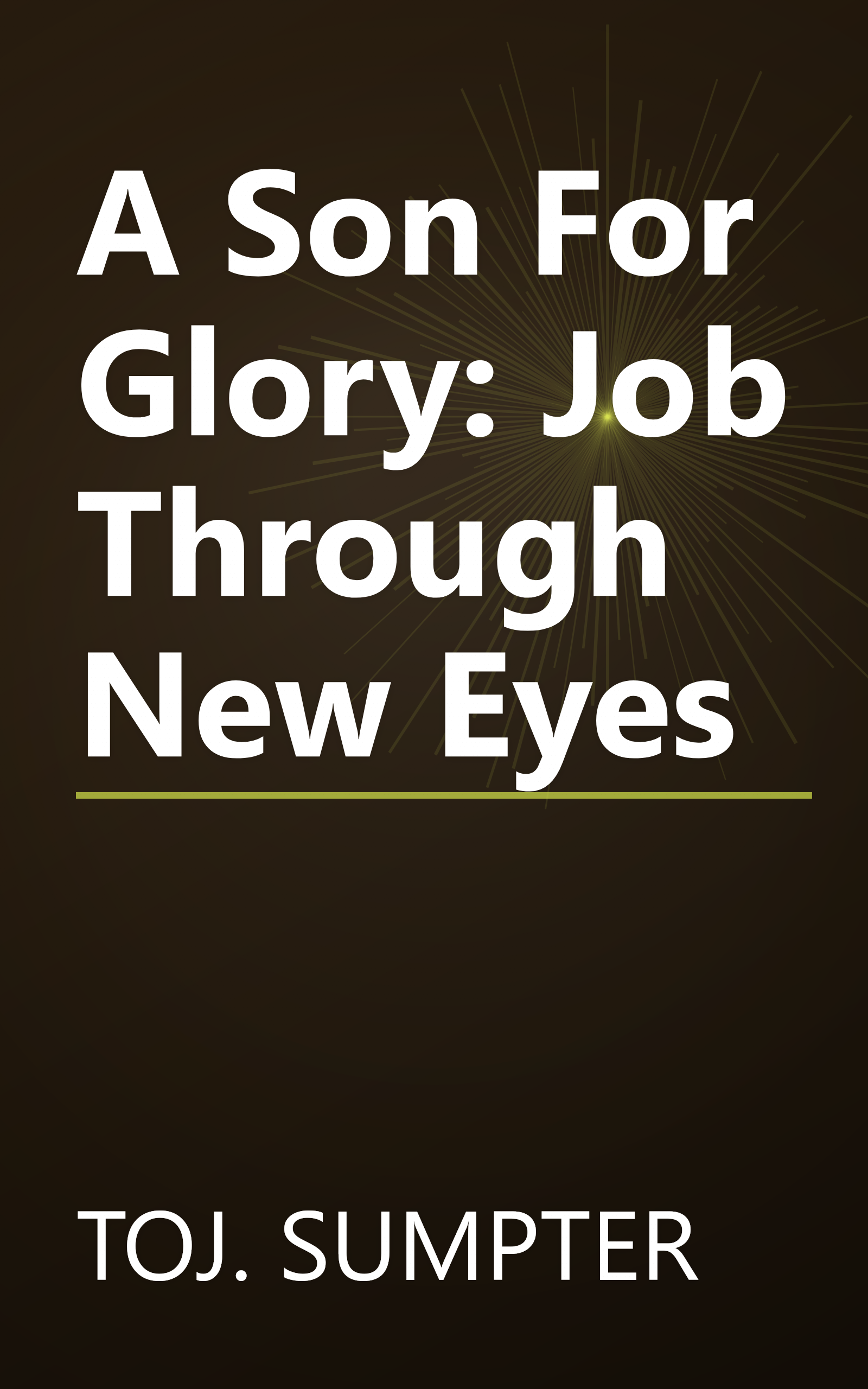 A Son For Glory: Job Through New Eyes book cover