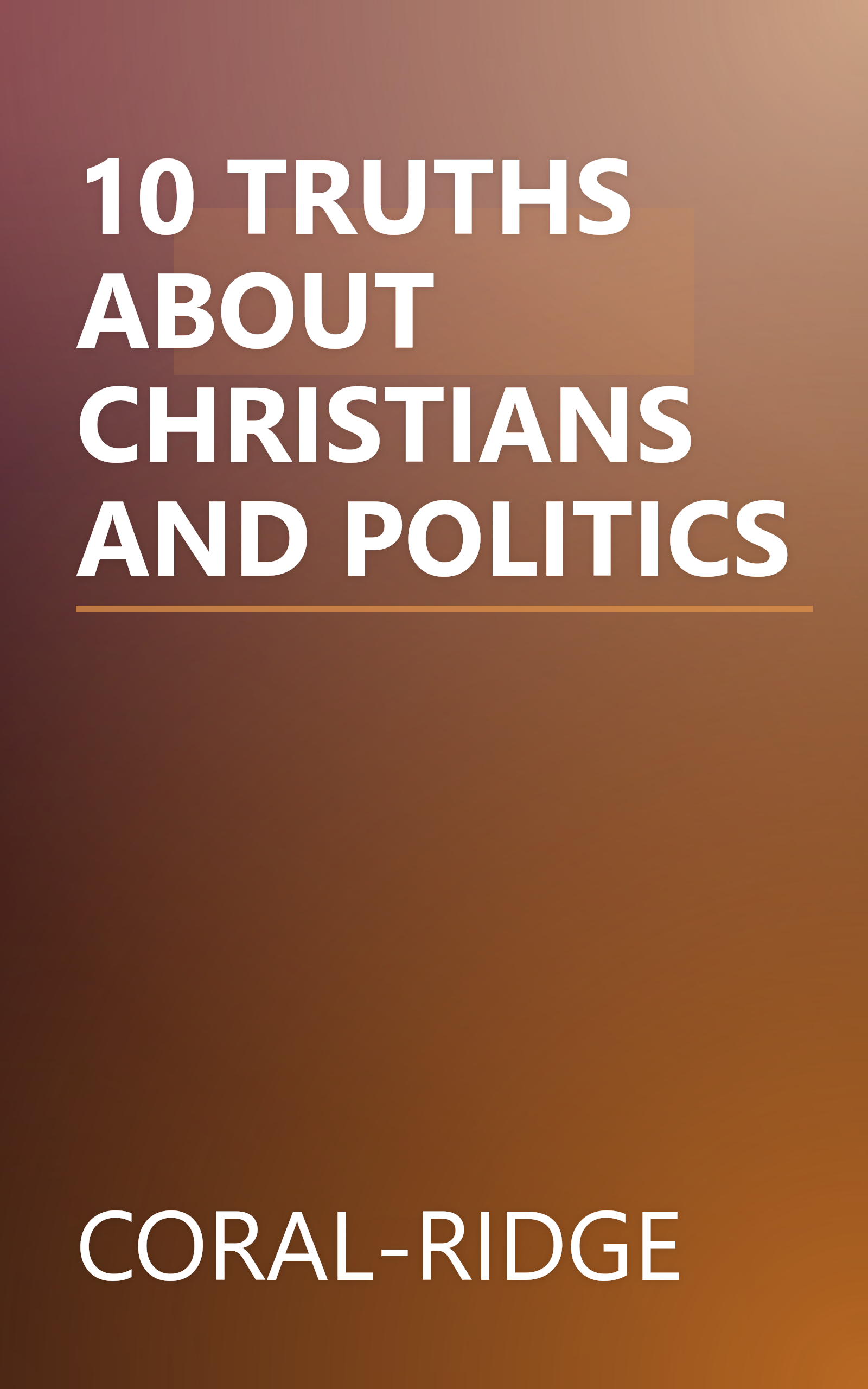 10 TRUTHS ABOUT CHRISTIANS AND POLITICS book cover
