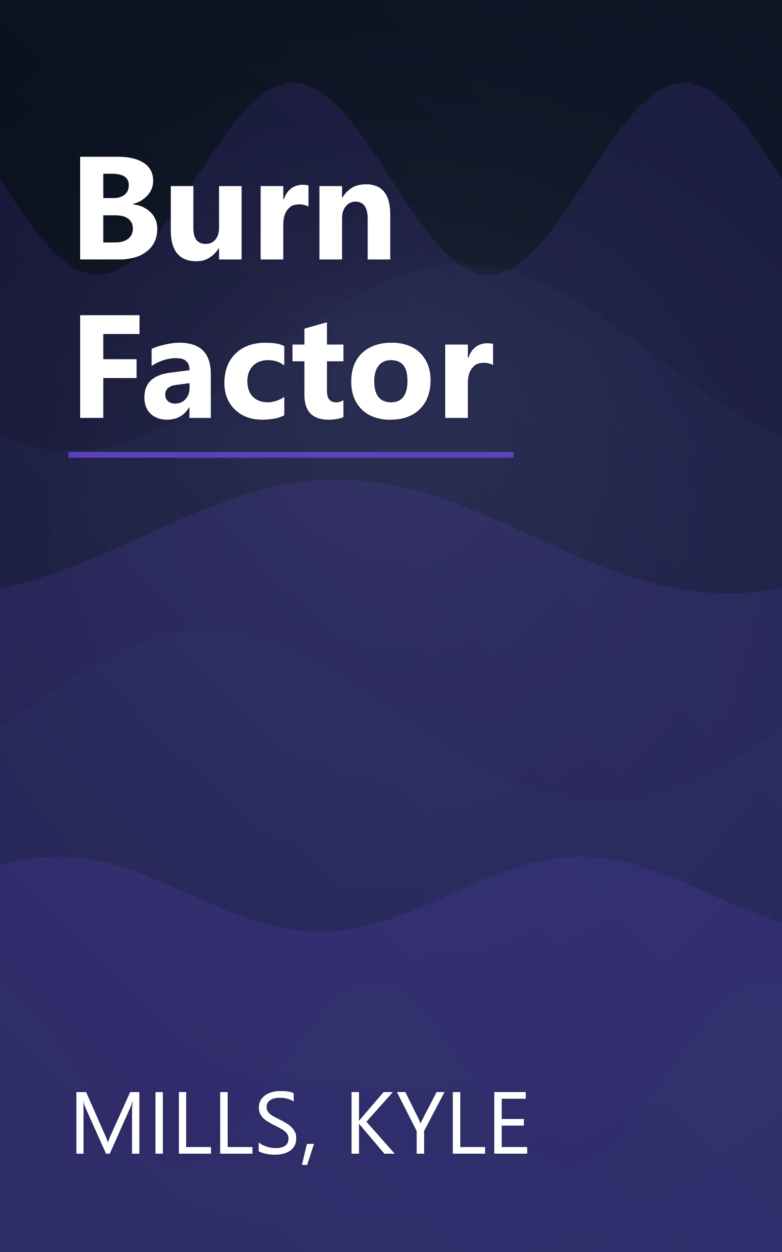 Burn Factor book cover