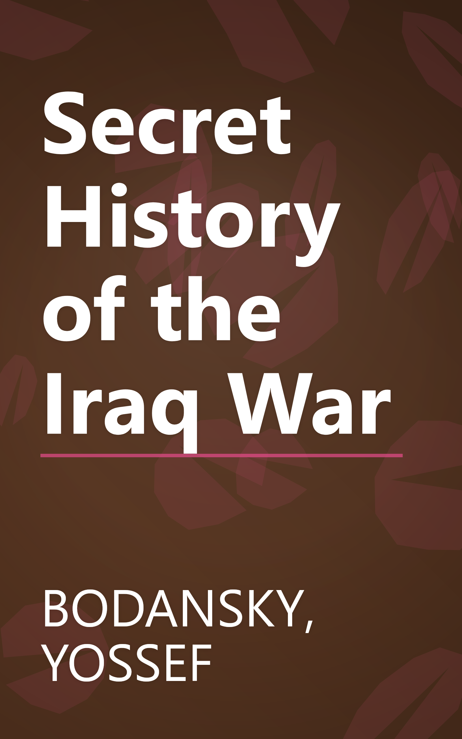 Secret History of the Iraq War book cover