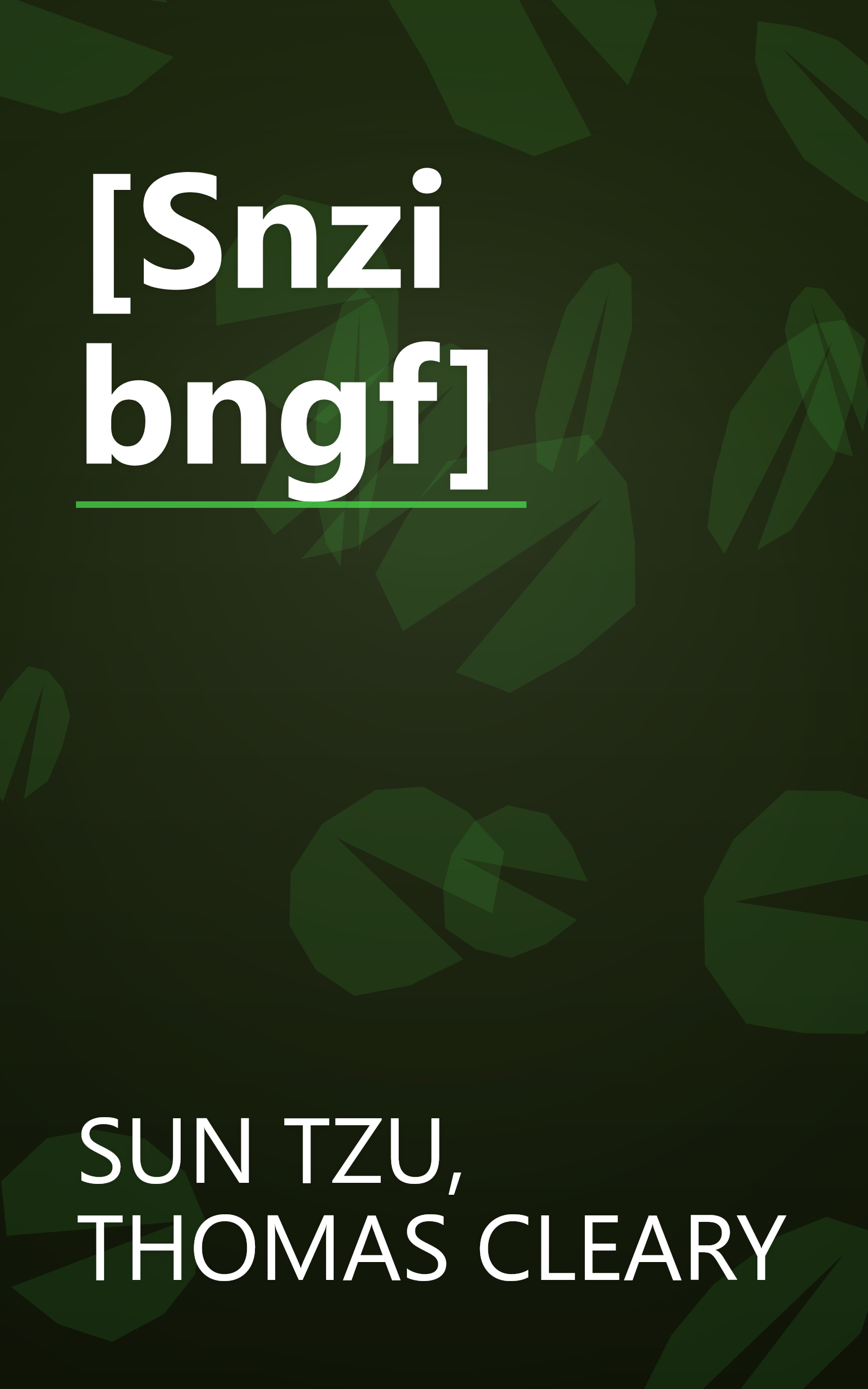 [Snzi bngf] book cover