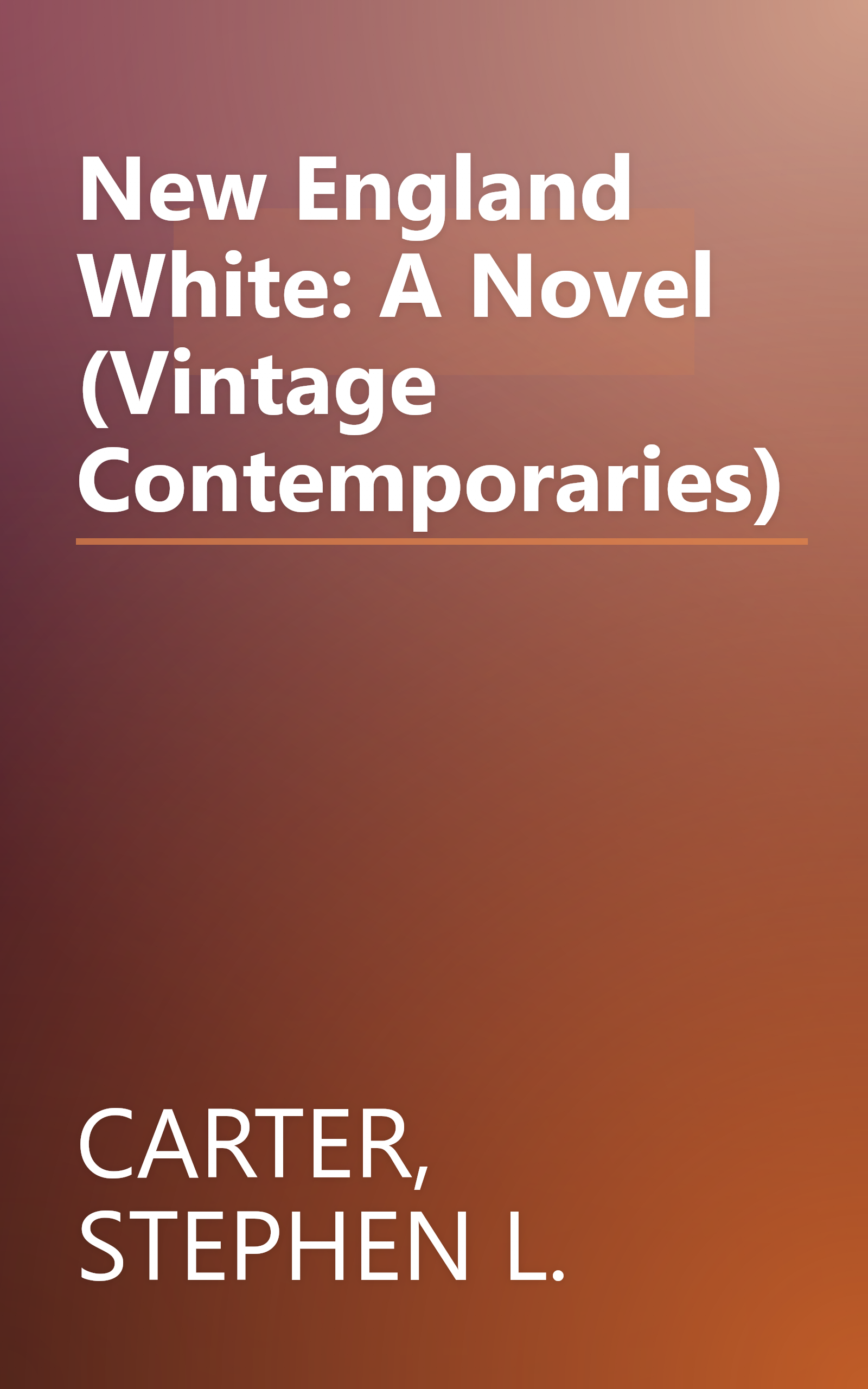 New England White: A Novel (Vintage Contemporaries) book cover